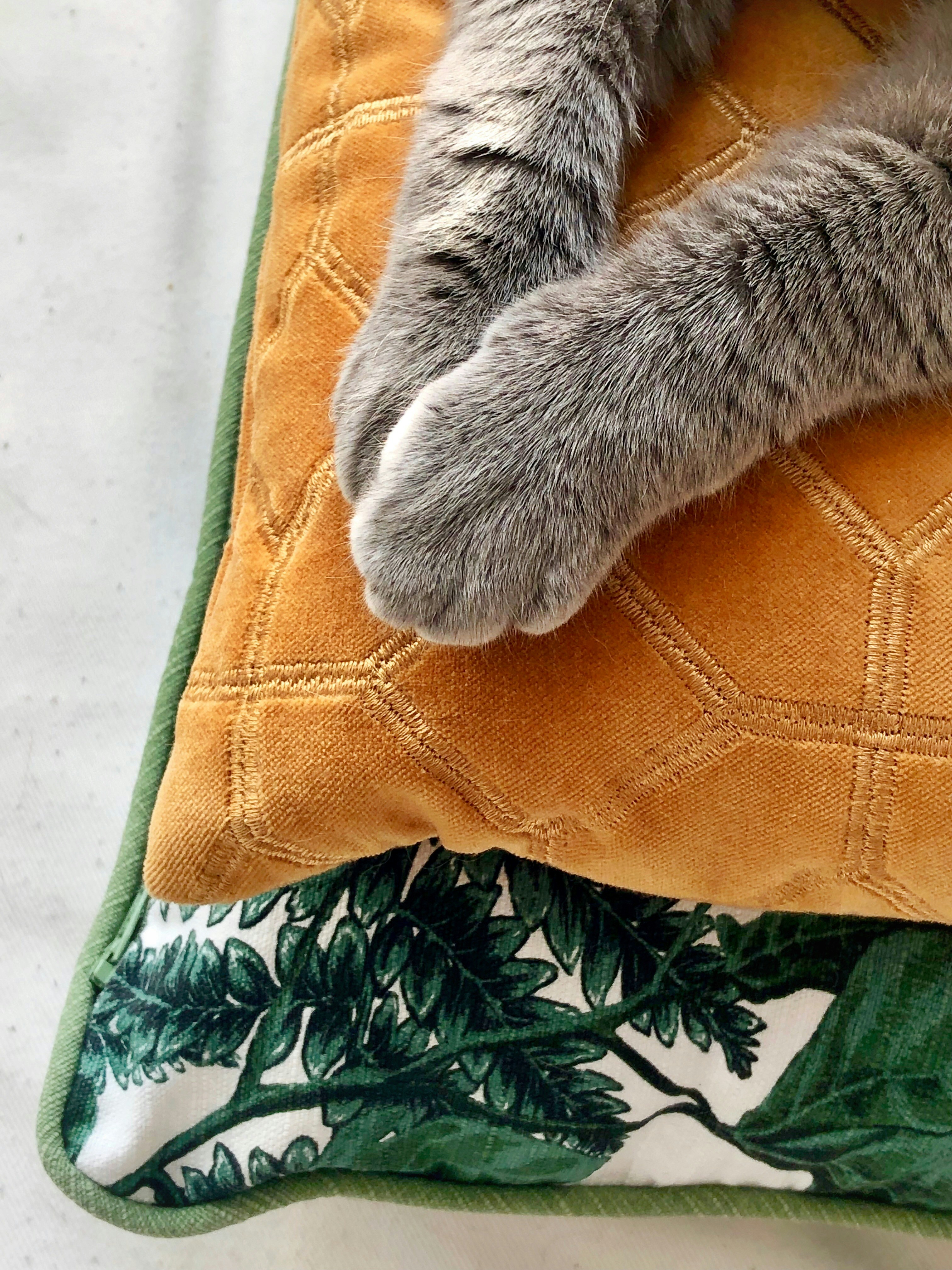 Knit Cushion and Cat Paws Resting on a Citrus-Orange Pillow