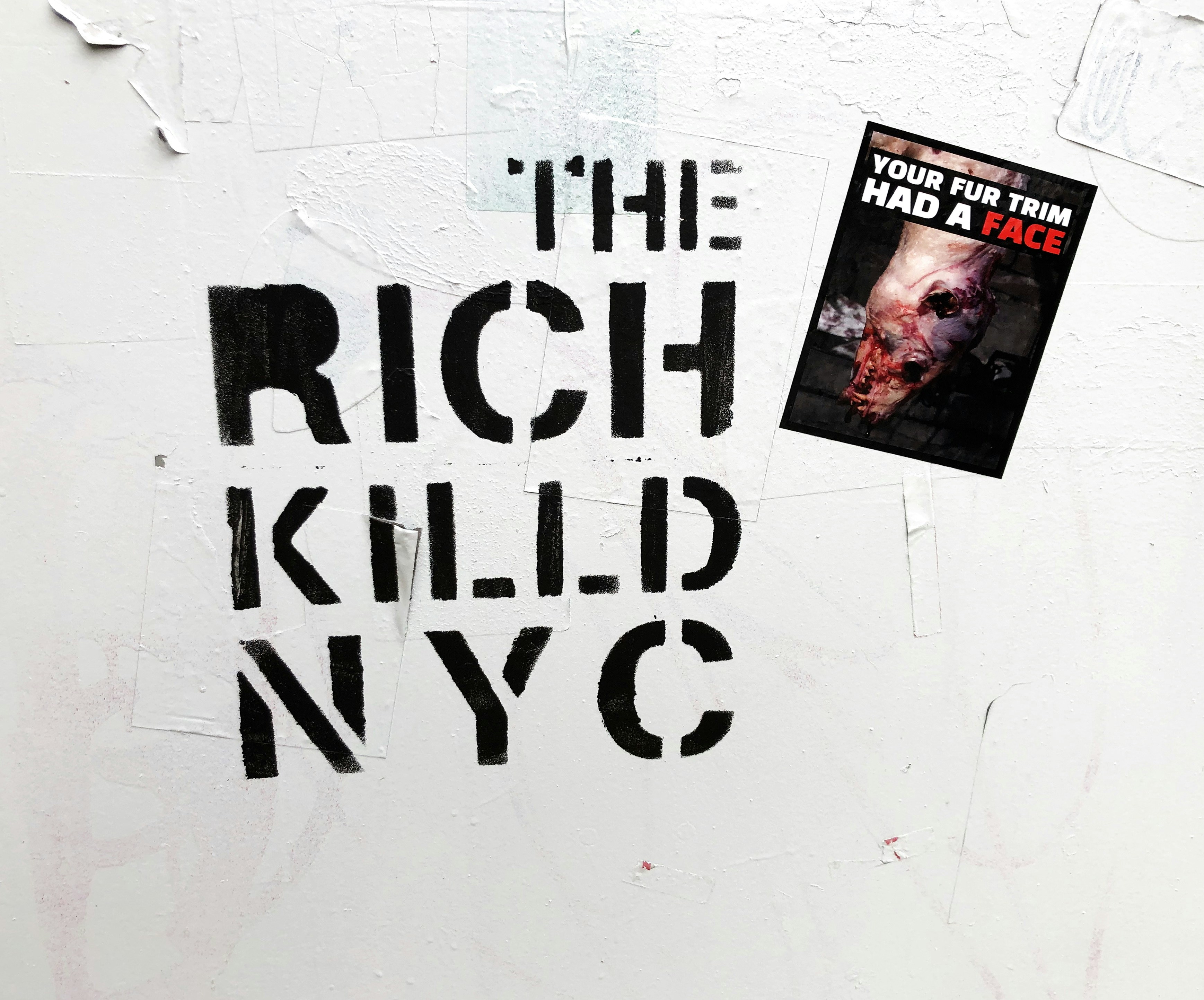 The Rich Killd NYC photo – Free Current events Image on Unsplash