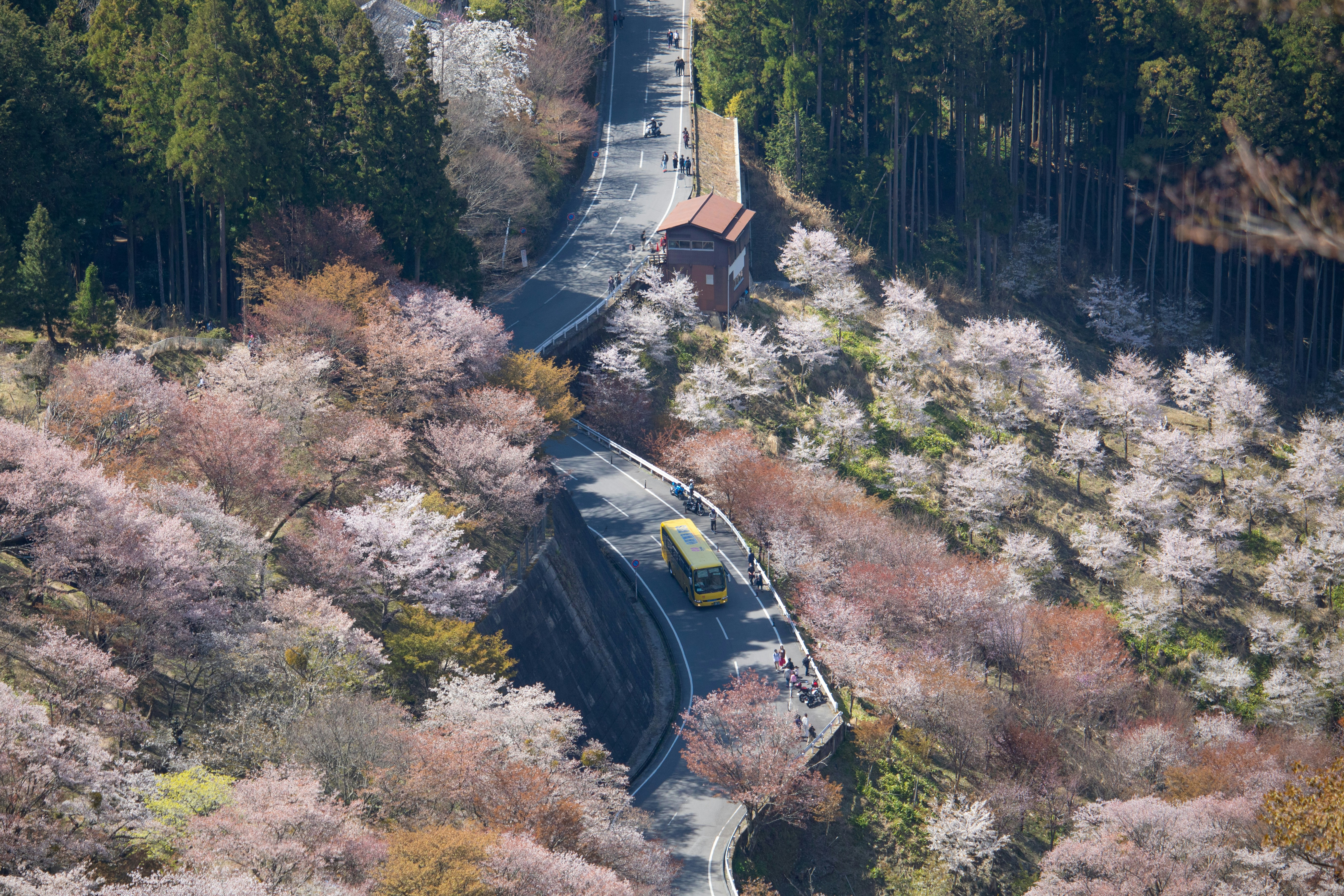 Photo by Tony Phan with Canon EOS 750D