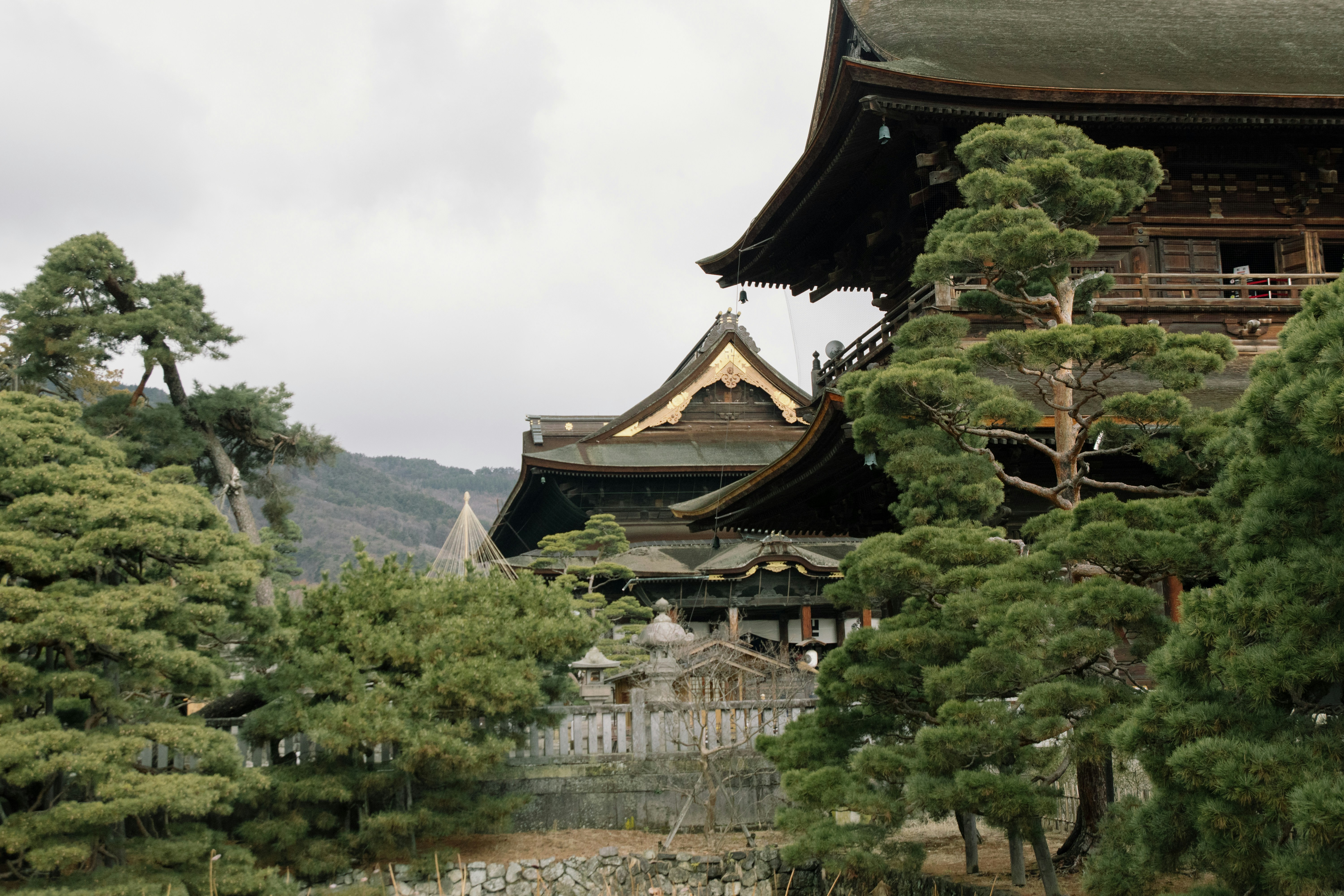 Traditional Japanese temple nestled among lush pine trees, showcasing intricate wooden architecture against a cloudy backdrop.