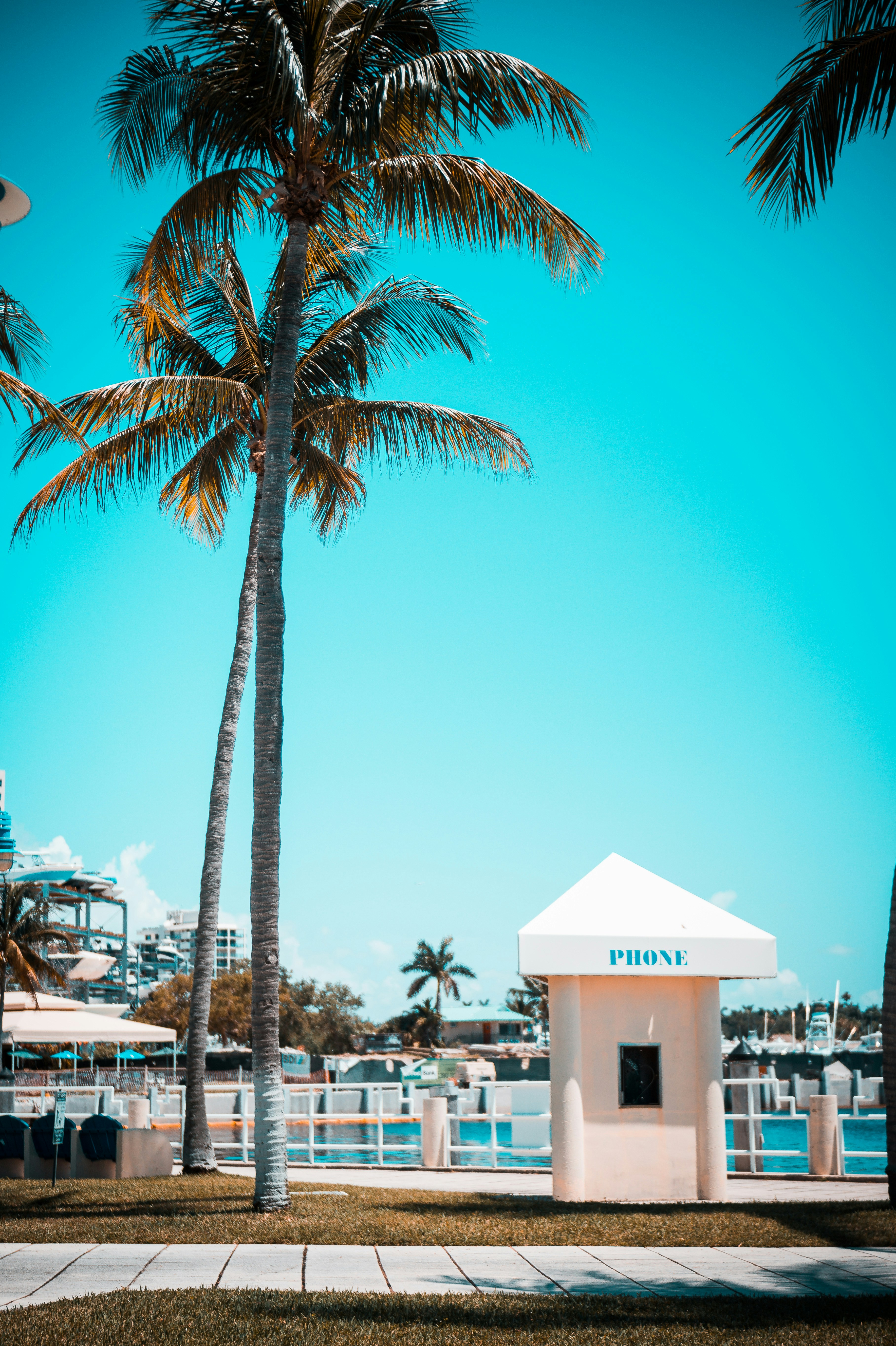 Palm trees beside a waterfront phone booth under a vibrant blue sky.