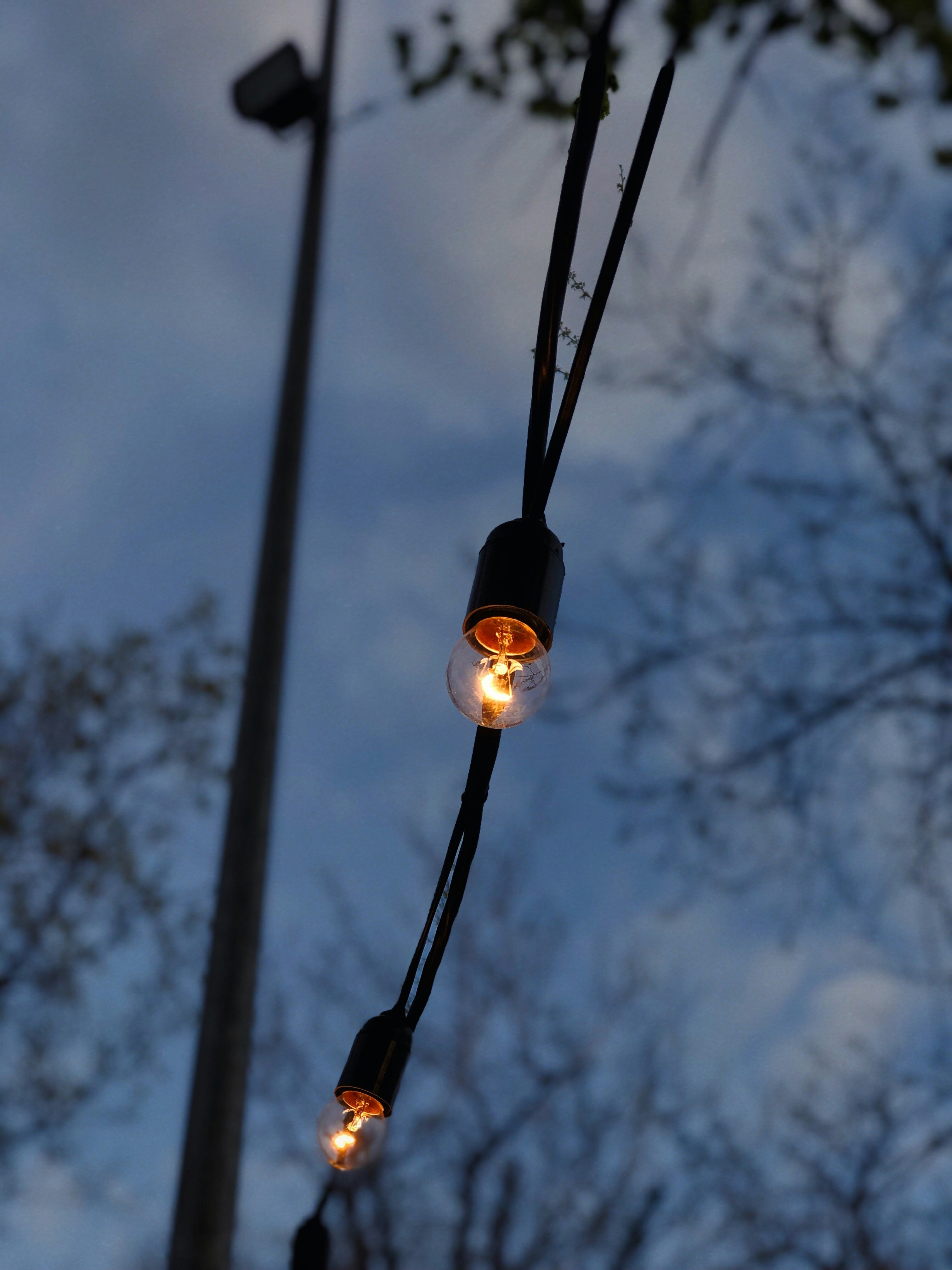 Lone Edison Bulb String Basks in Dusk-Blue Sky
