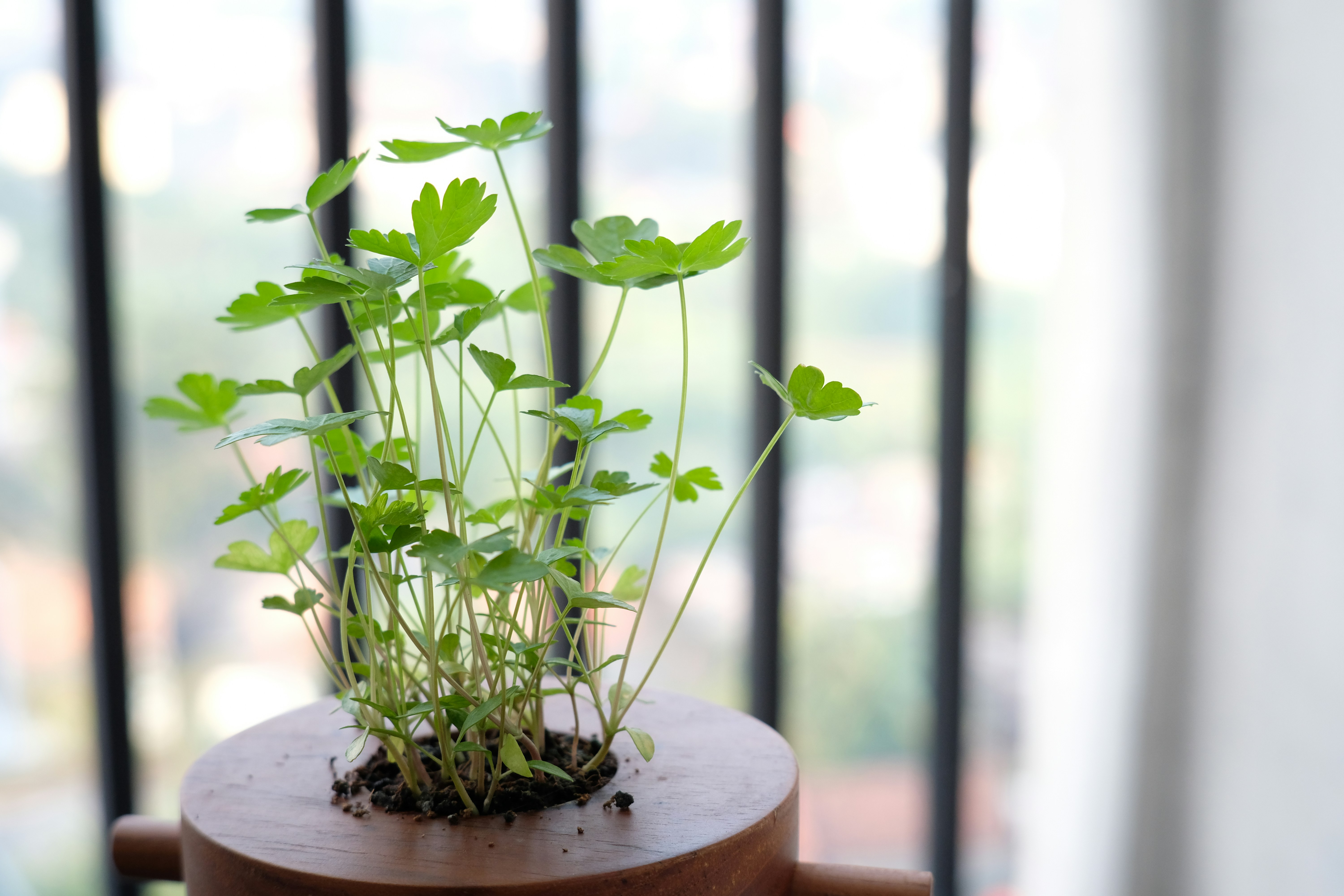 Veronica Rahayu (@veewidya_) | Unsplash Photo Community