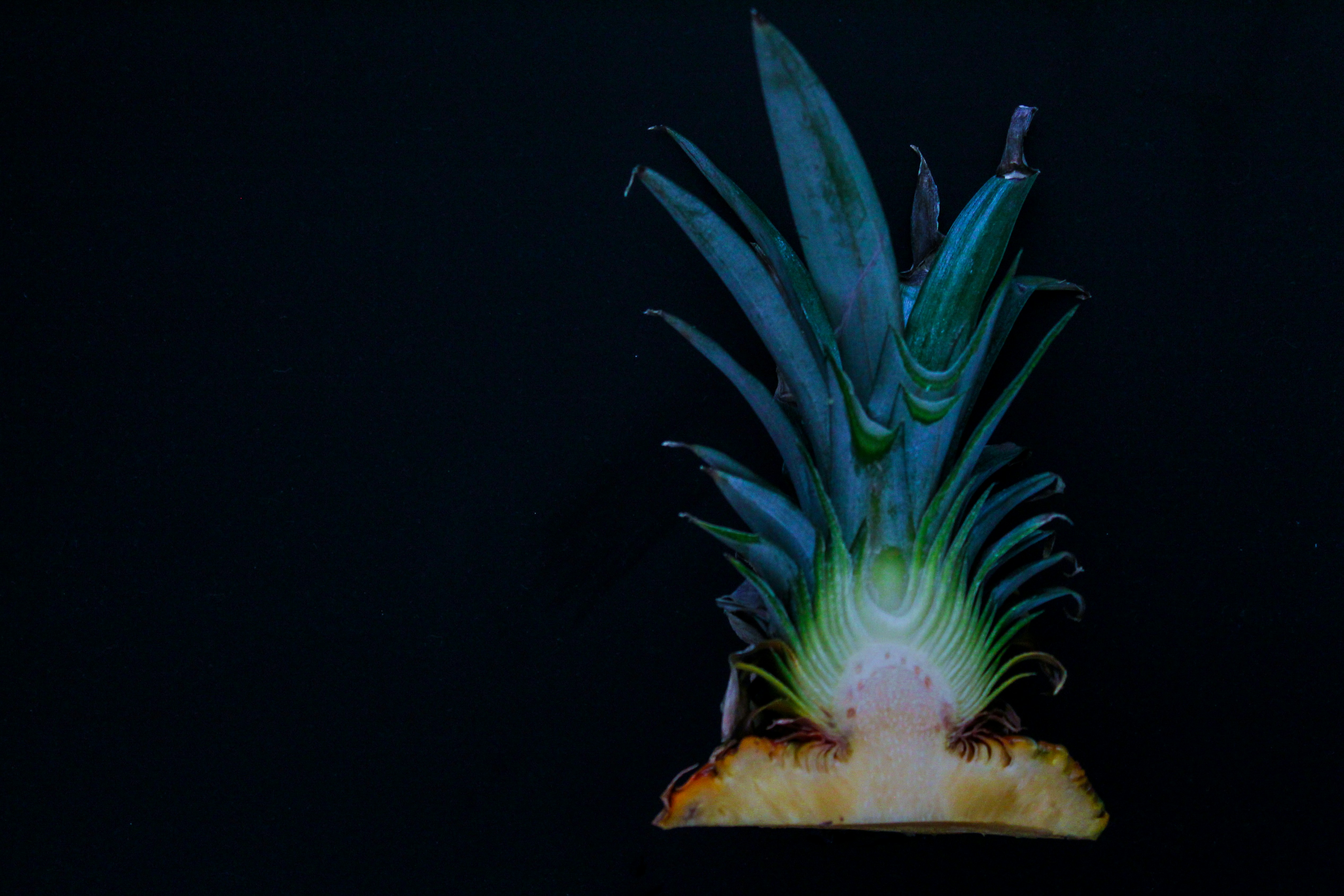 Crown in Darkness: Neon-green Pineapple Crown Against a Black Backdrop