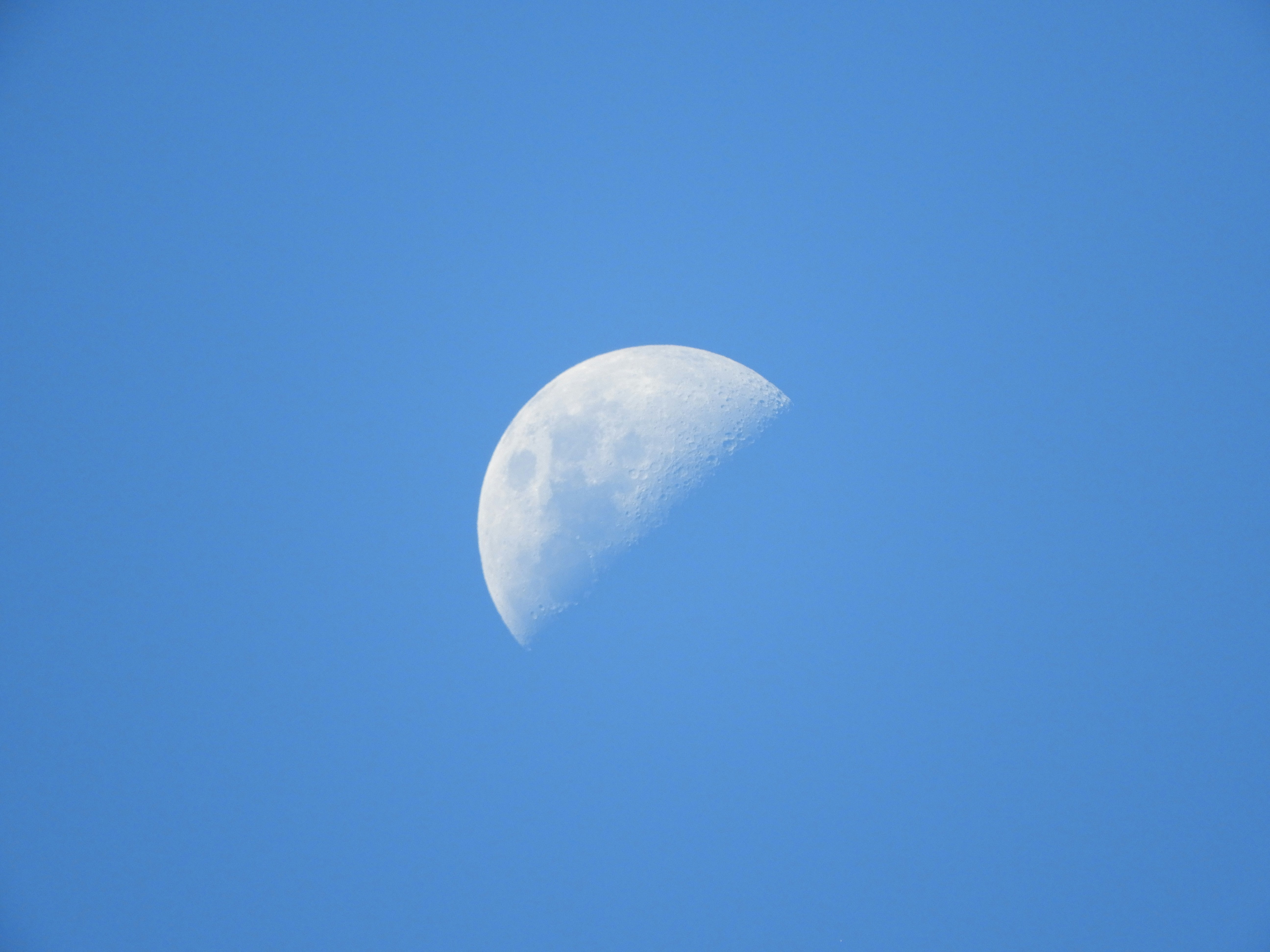 White moon photo – Free Blue Image on Unsplash