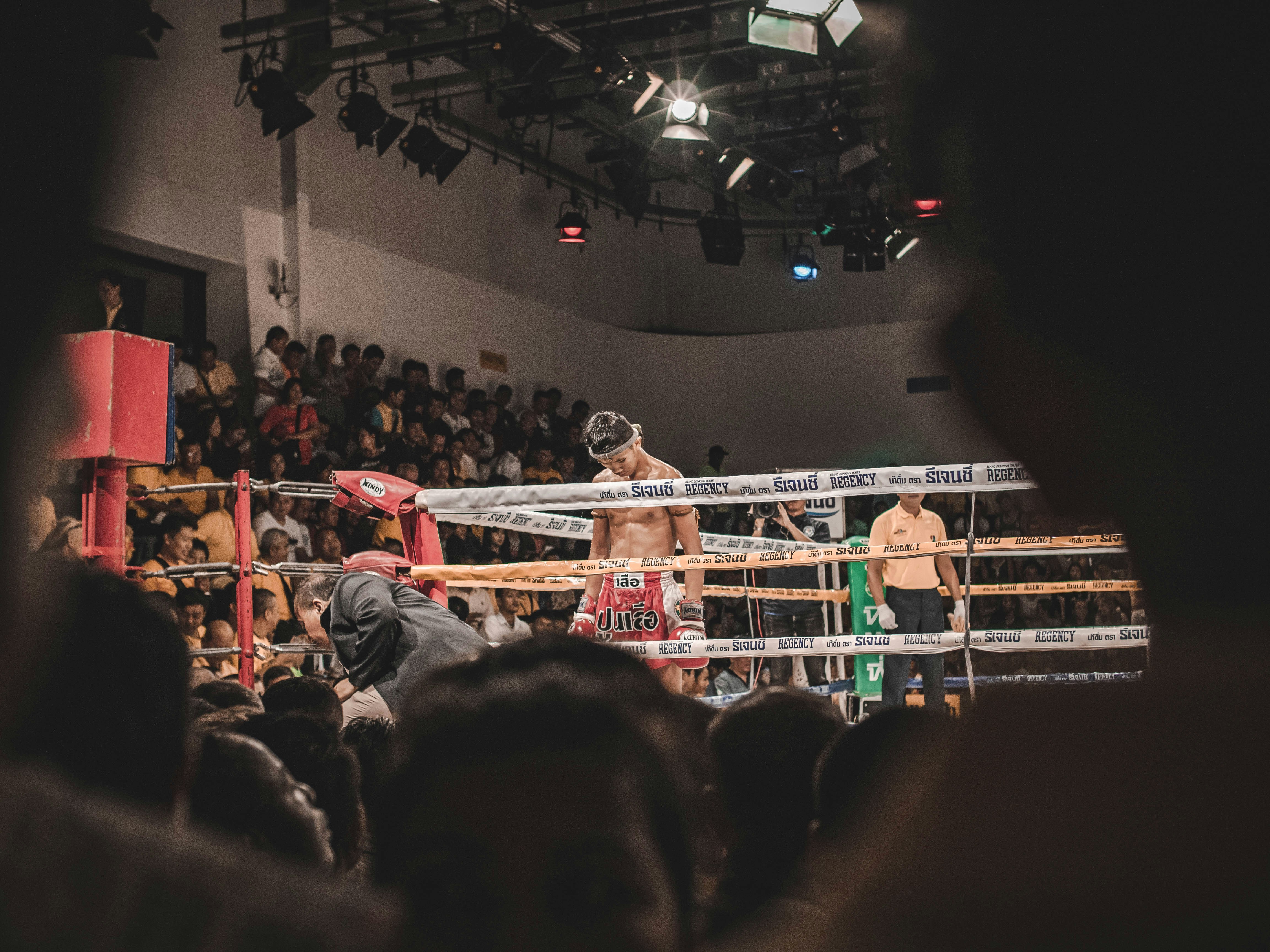 The Loud House Lucy Loud Vs Nadia Boxing Match Deviantart Pictures ...