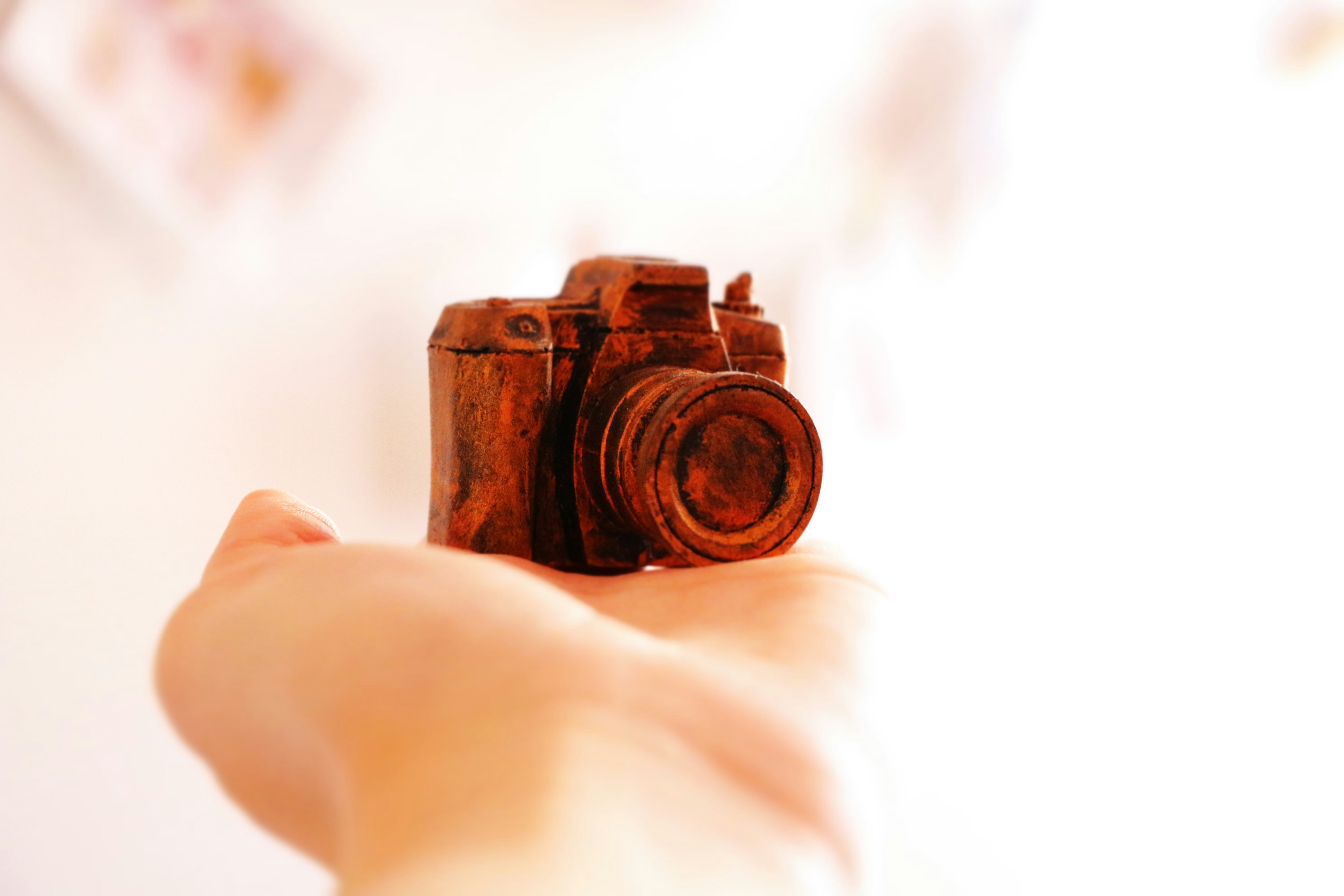 Rusty handheld camera held aloft in warm, hazy light