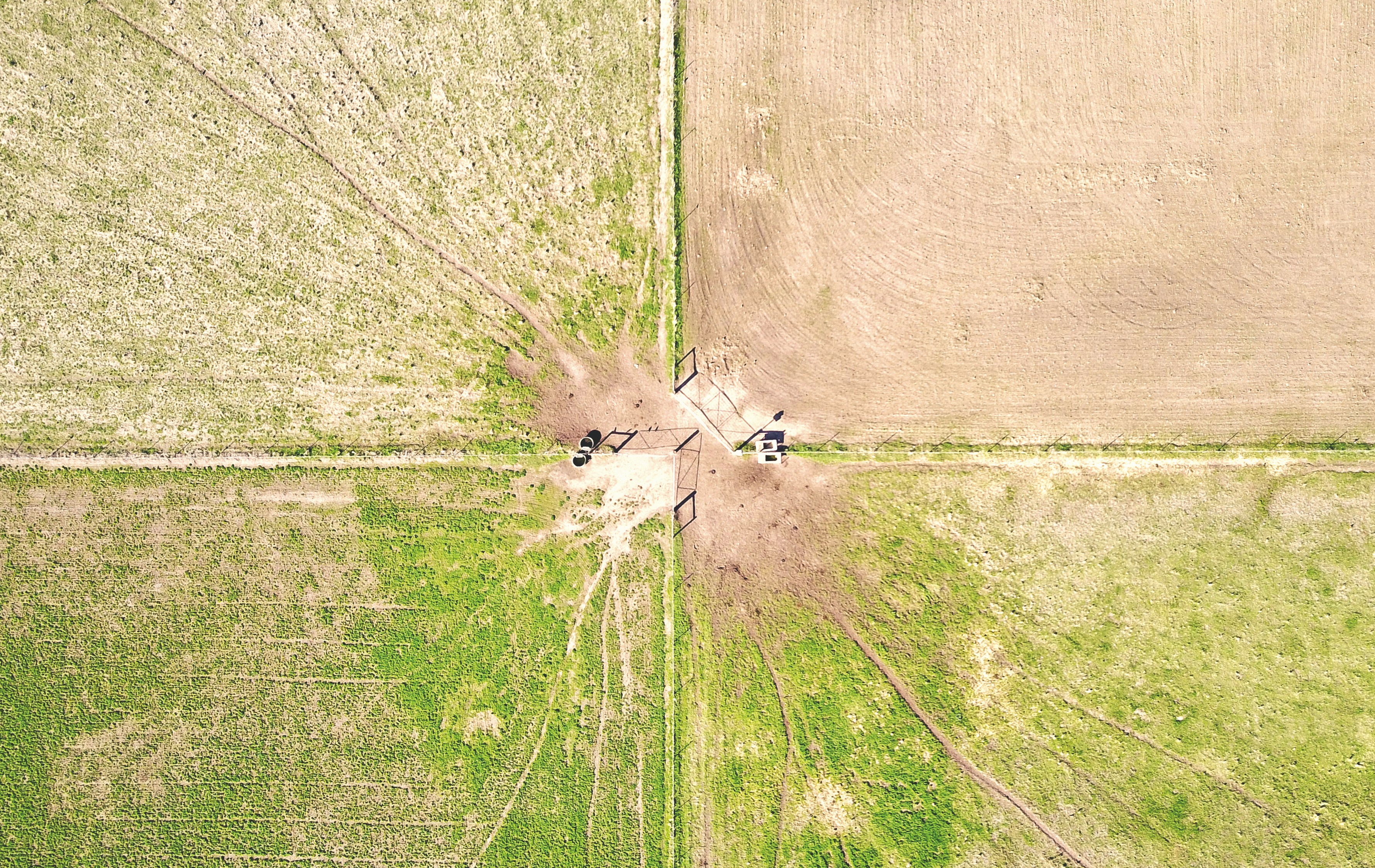 The Intersection of Nature and Agriculturegryffyn m