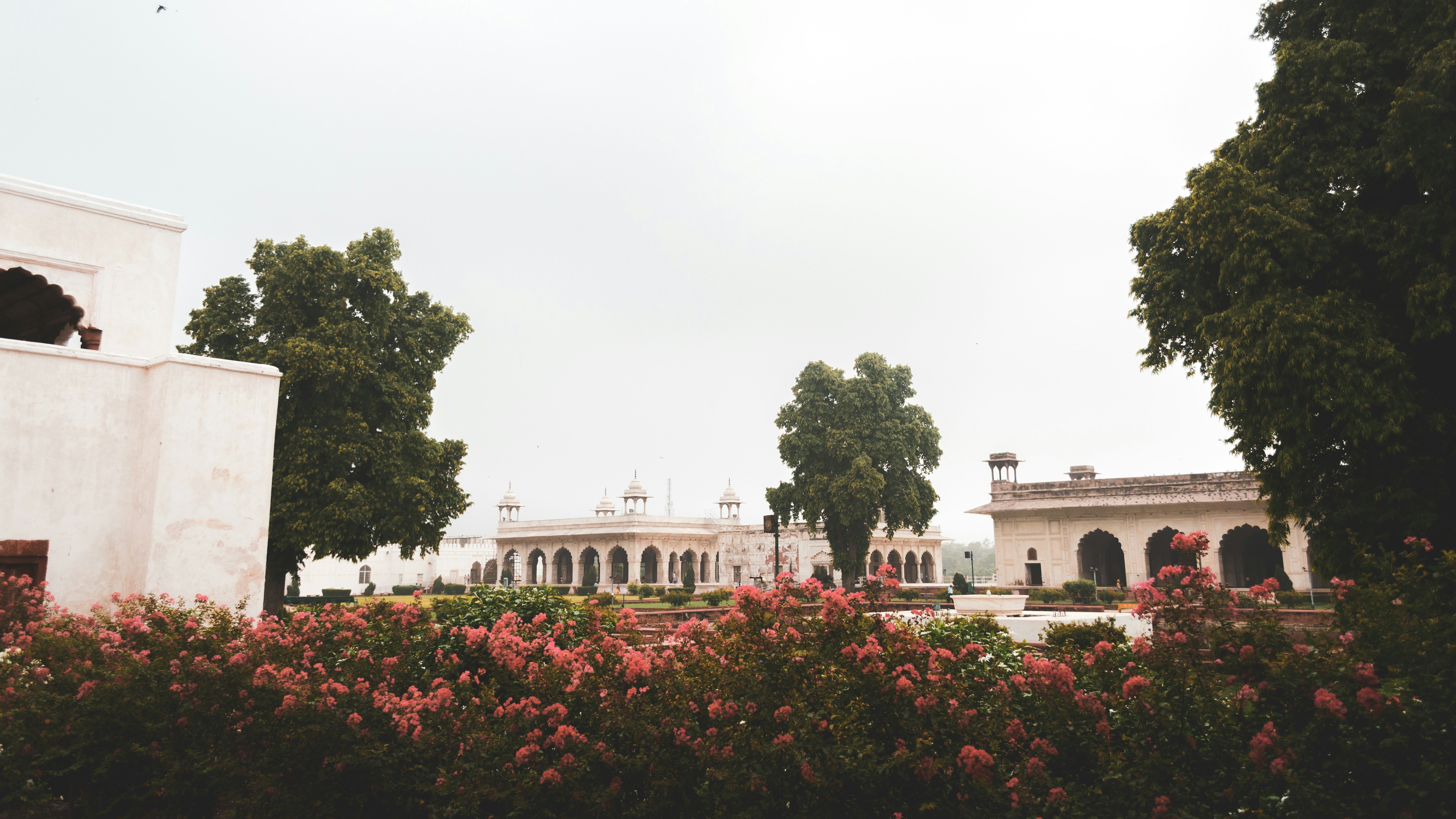 A serene garden scene featuring lush greenery and vibrant pink flowers framing historical architecture in the background. The atmosphere evokes a sense of tranquility.