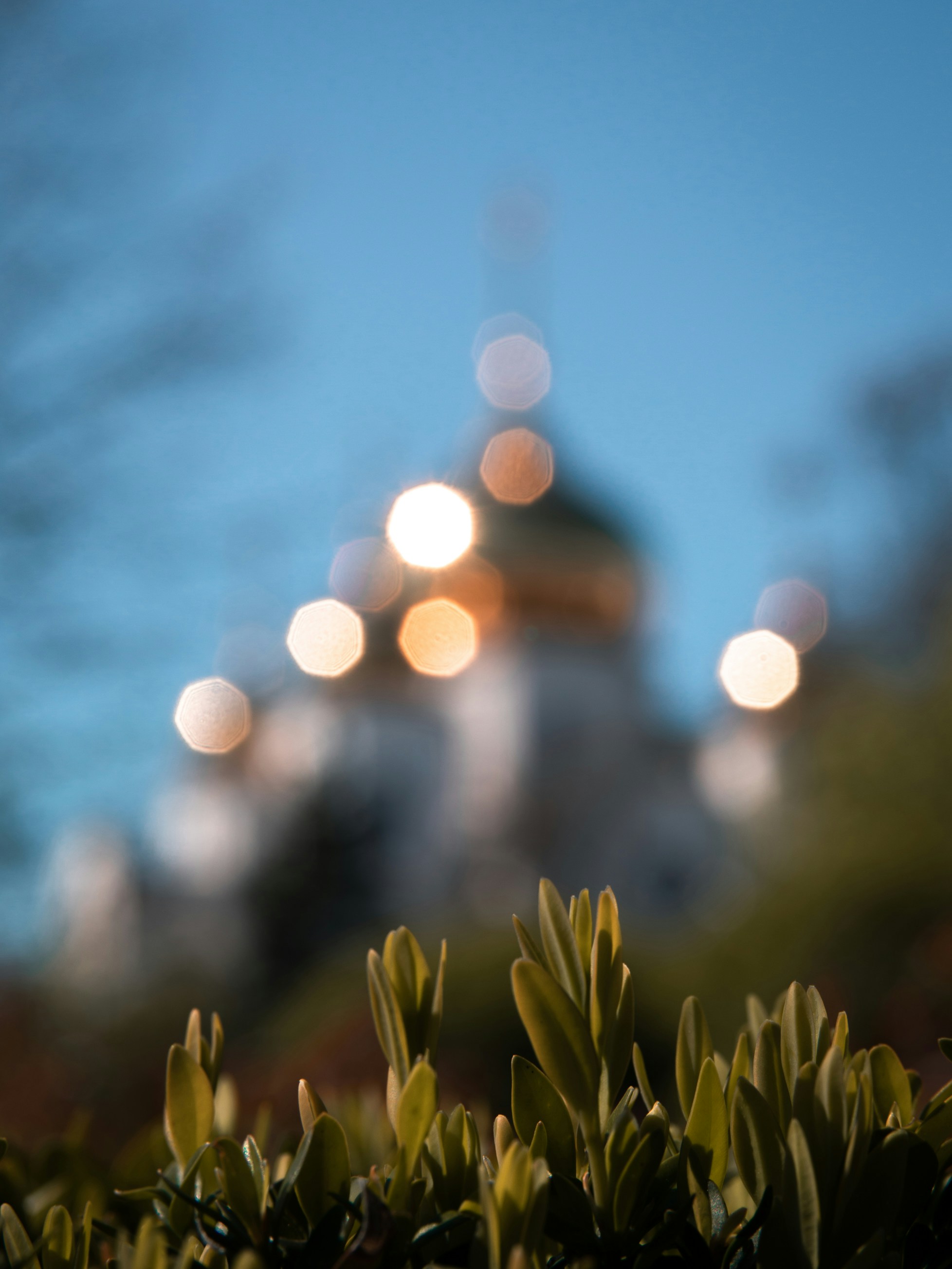 Soft Bokeh in Front of a Golden Cathedral