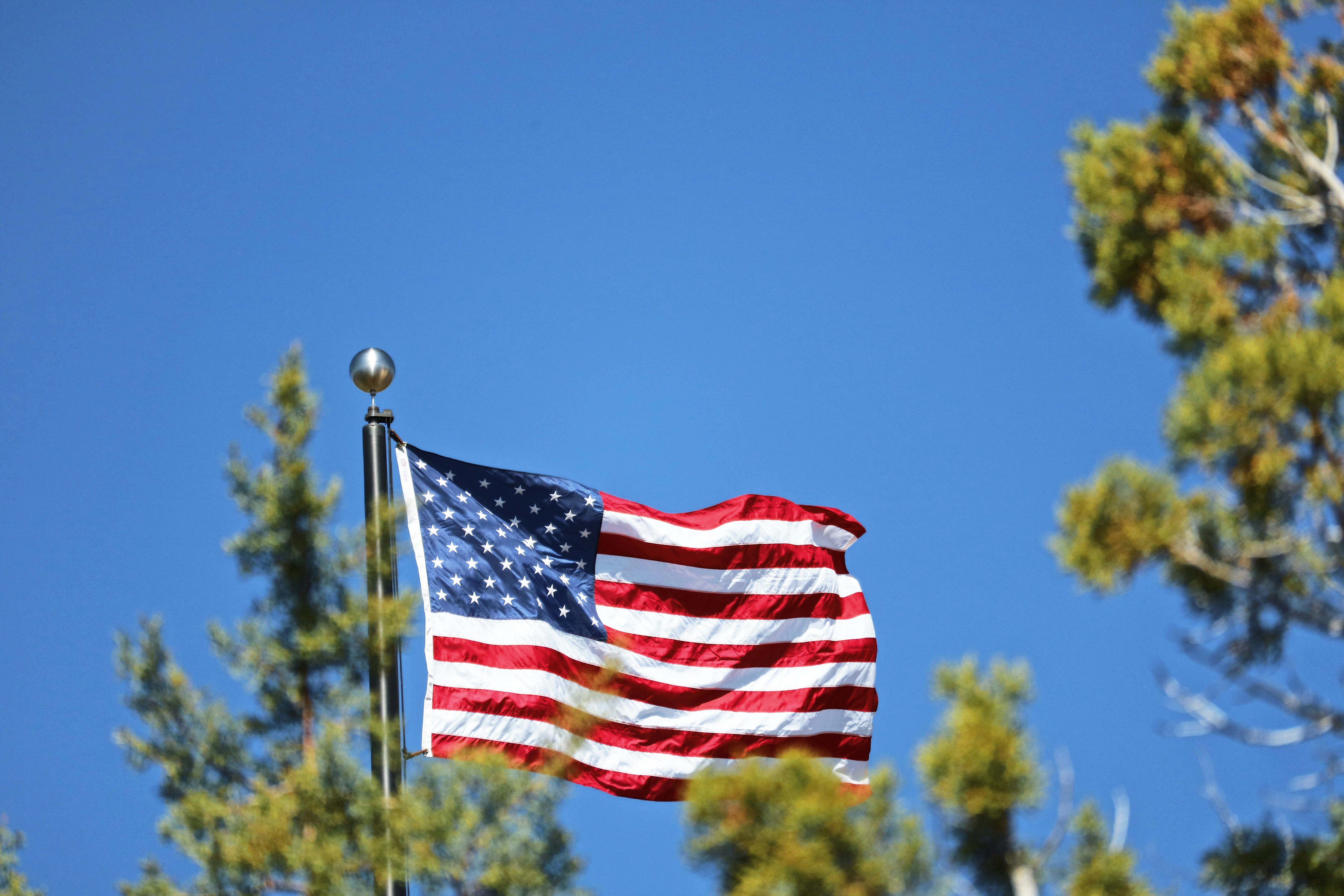 American flag fluttering against a clear blue sky, surrounded by lush green trees.