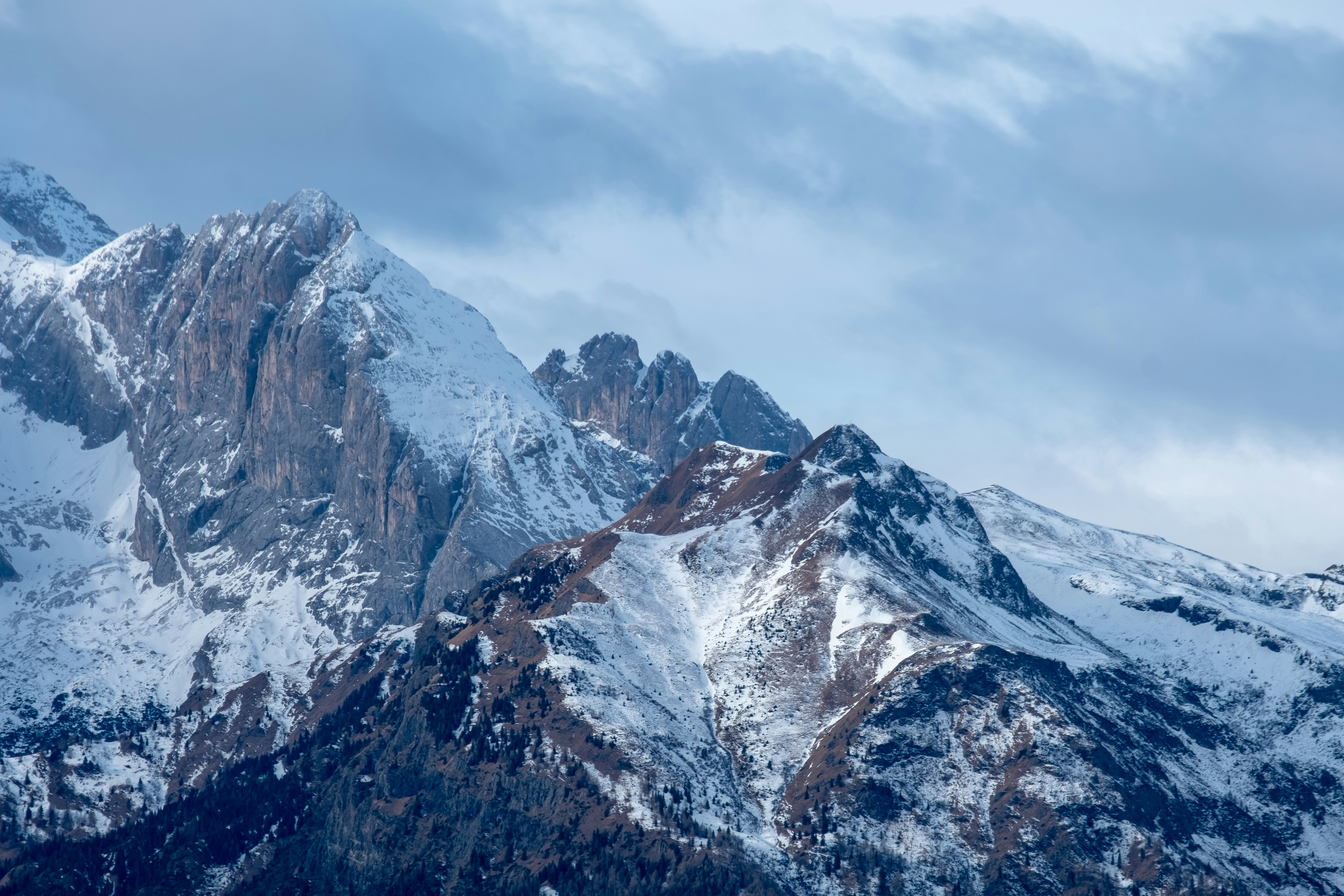 Définition de cime | Dictionnaire français