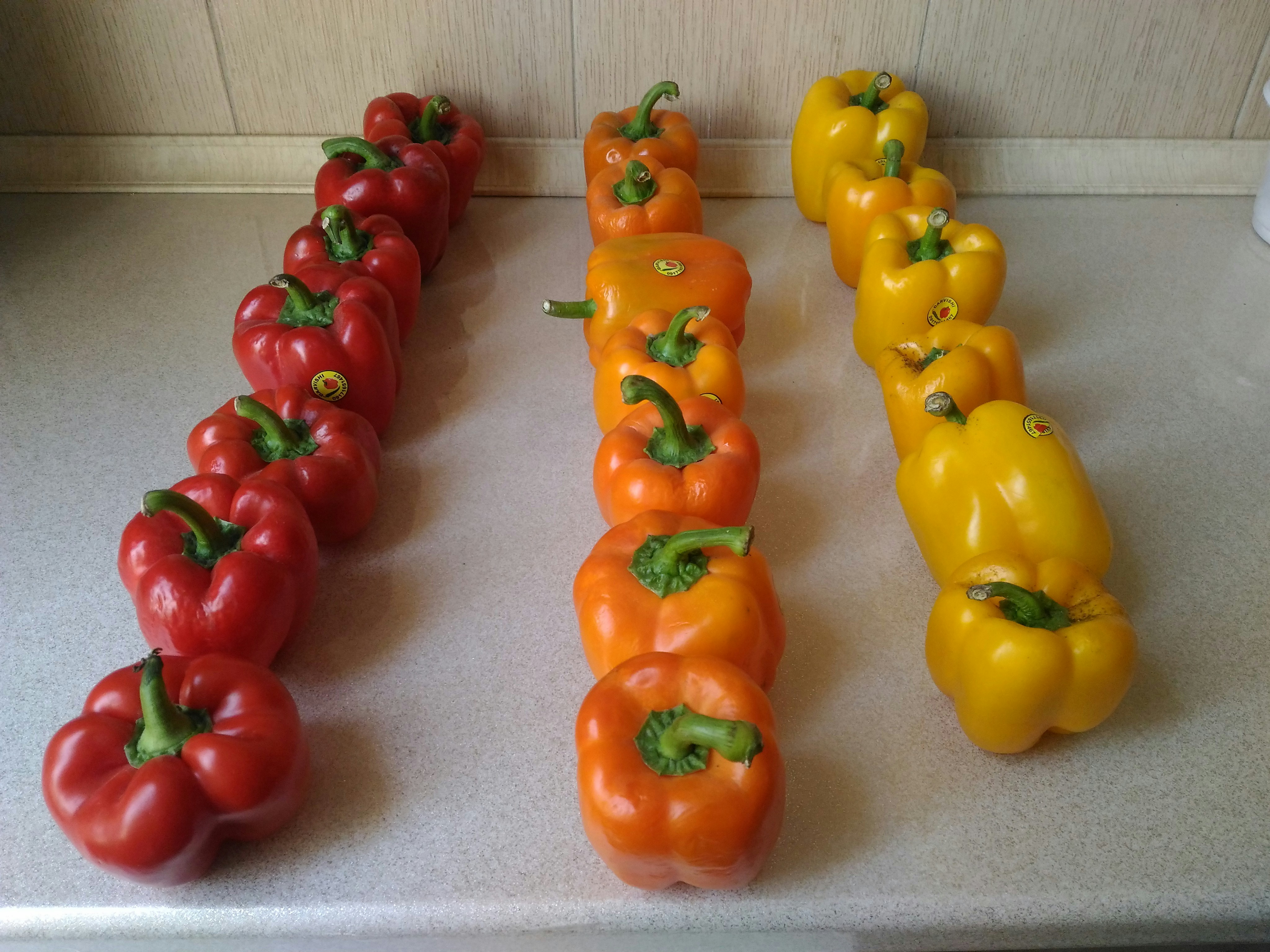 Three parallel rows of bell peppers (red, orange, and yellow) line a kitchen counter, with green stems and crisp texture.