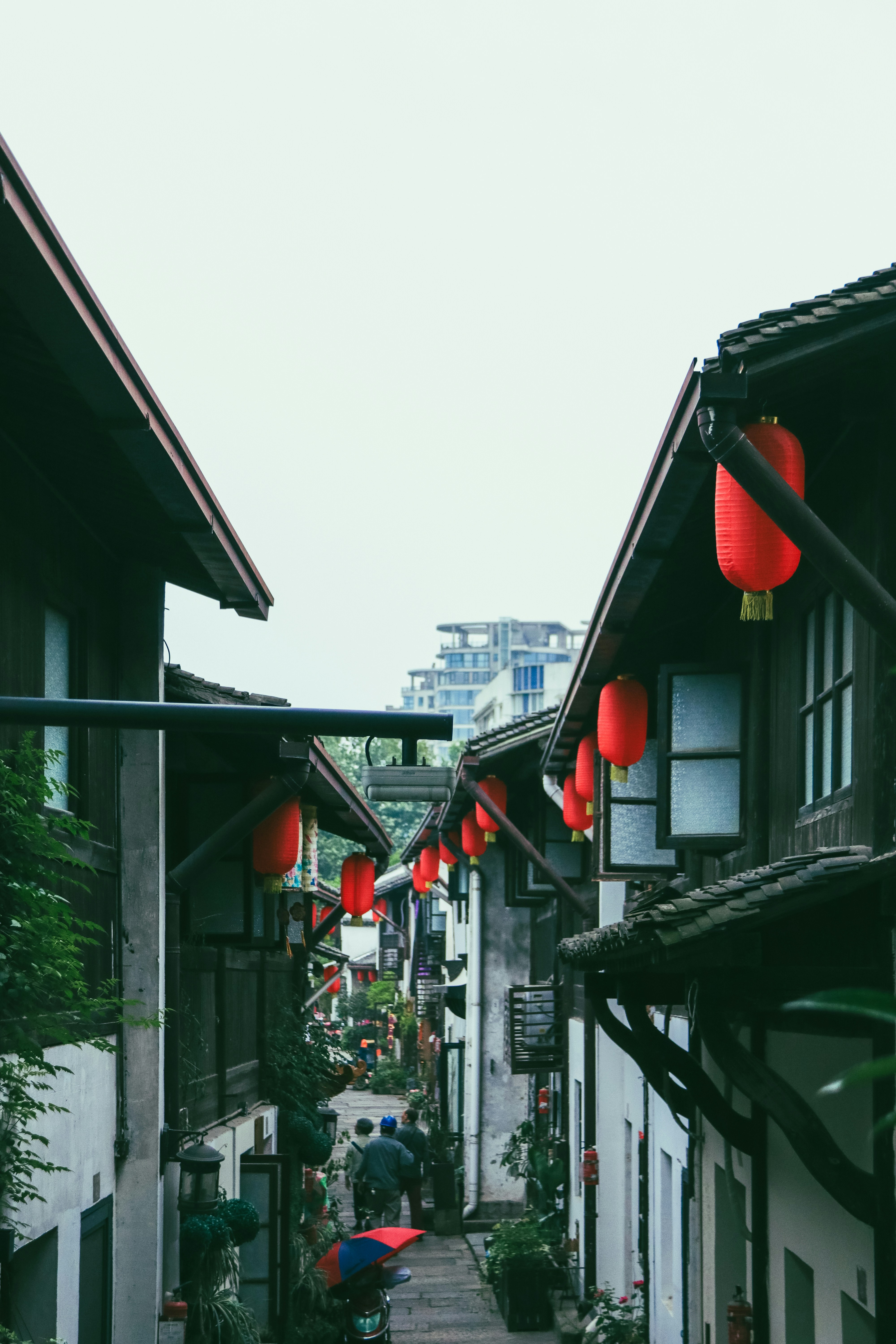 Charming alleyway adorned with red lanterns, leading through quaint houses, showcasing a blend of cultural heritage and urban life.