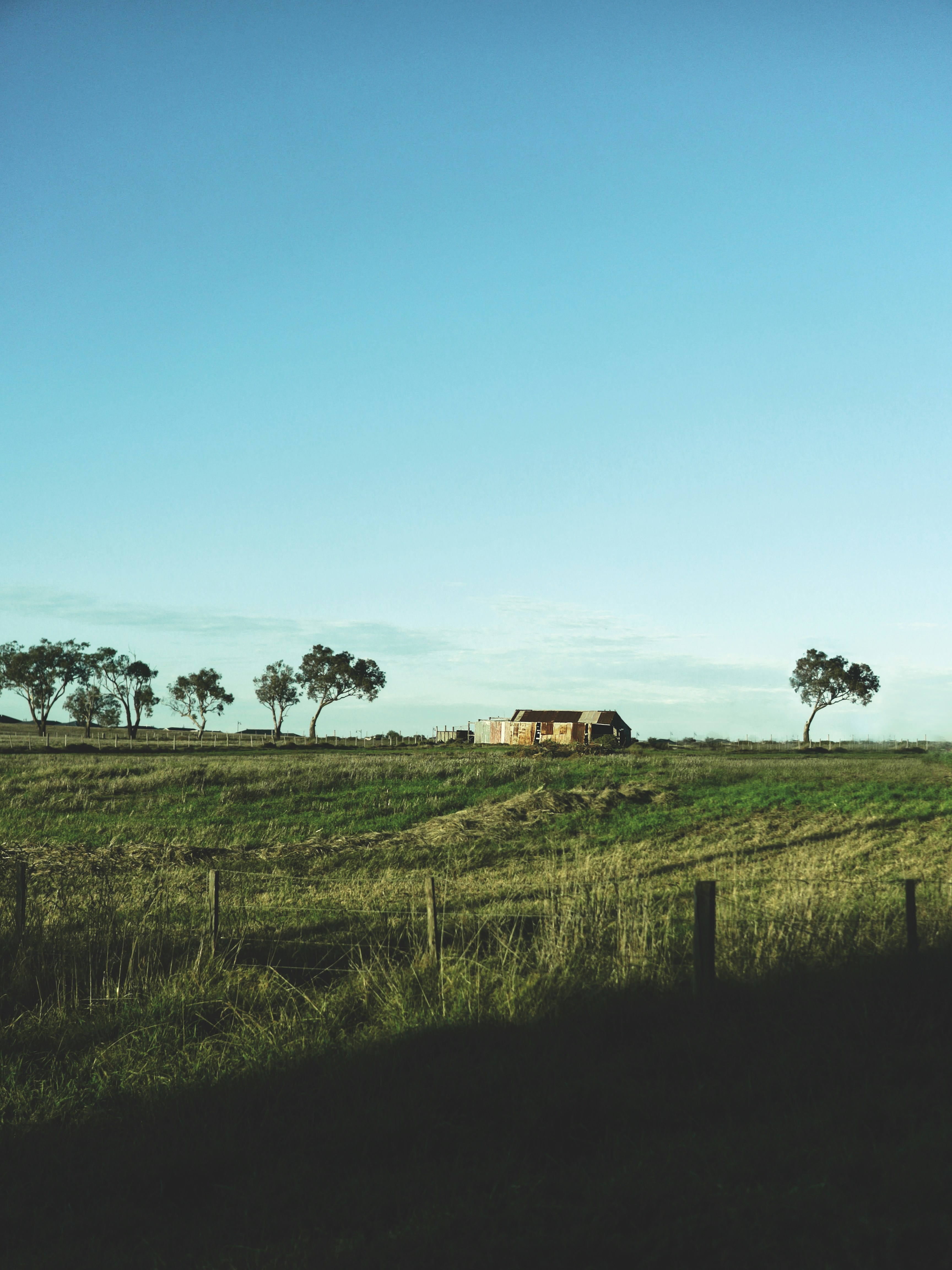 A rustic homestead nestled in a vast green field, framed by scattered trees under a clear blue sky.