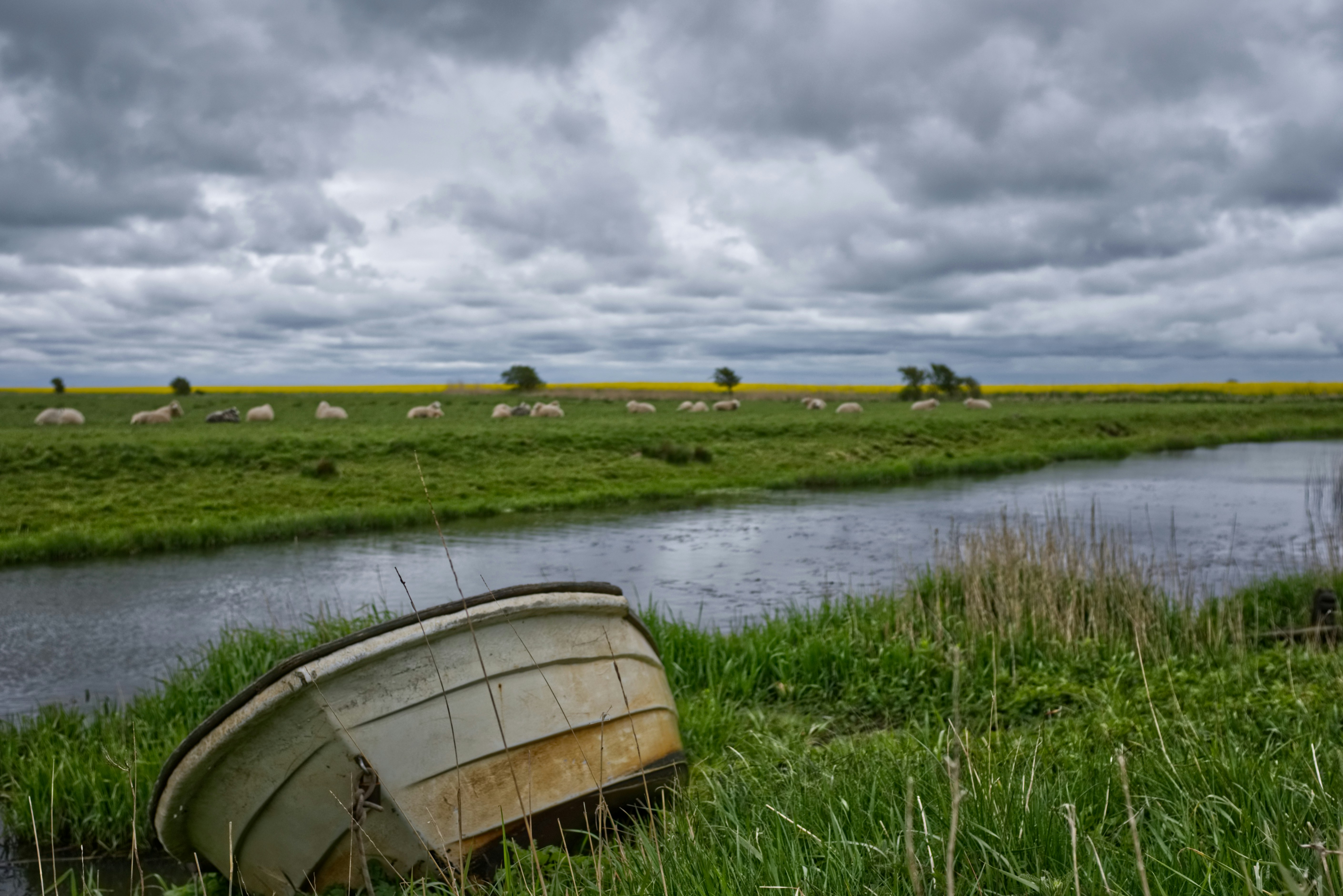 beige boat near river