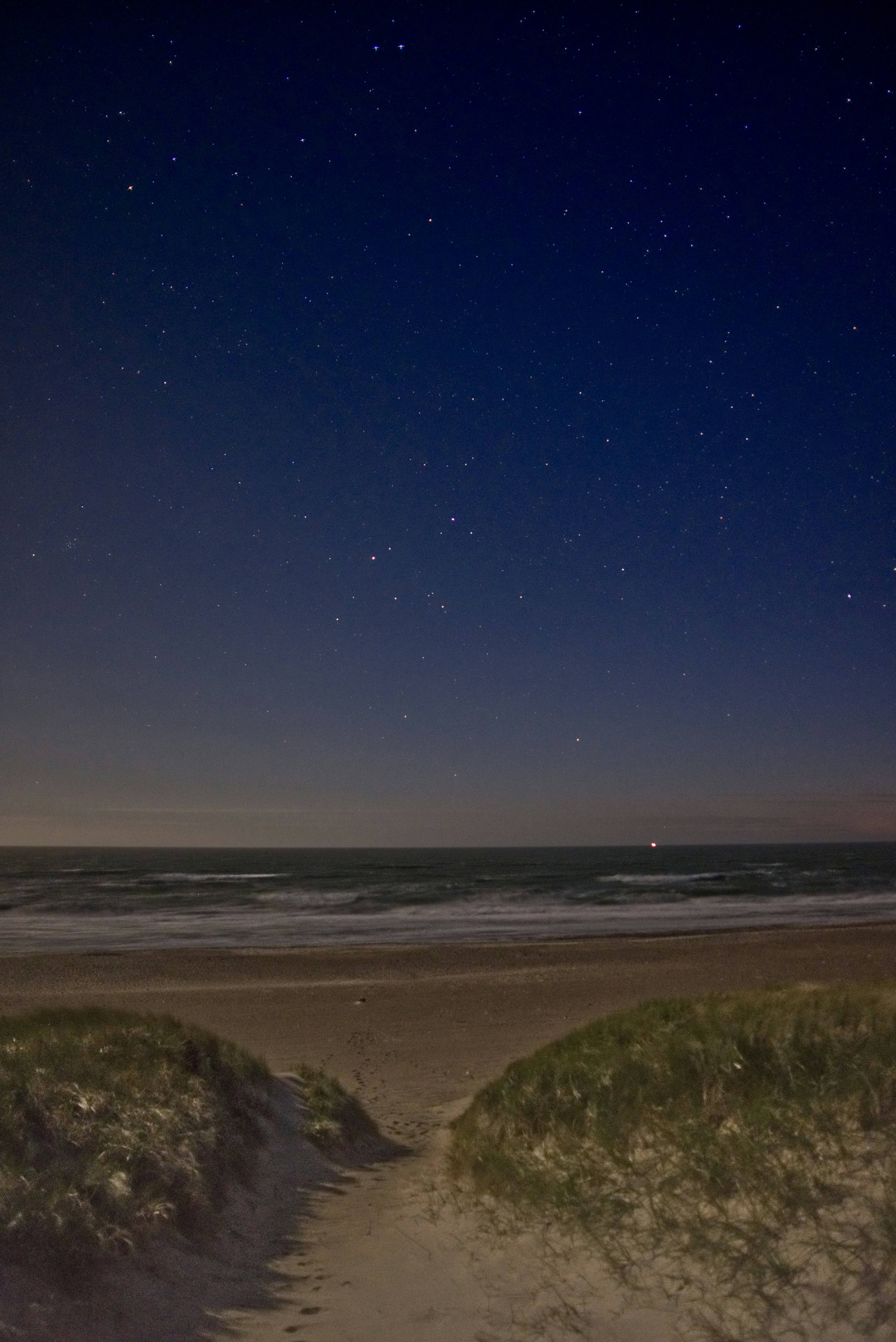 Starry Passage to the Sea: Night dunes under a velvet sky