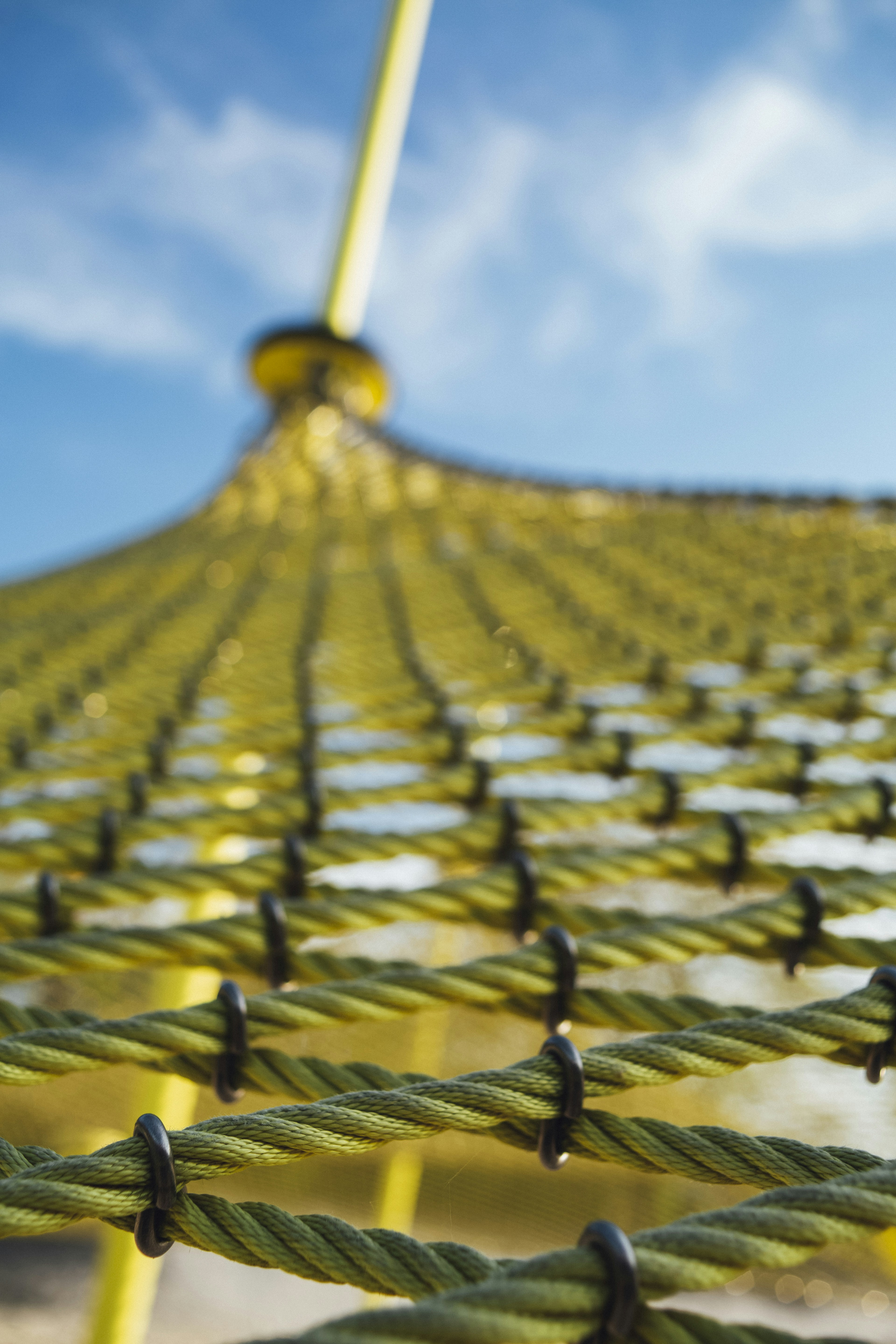 Sunlit Golden Rope Lattice Reaching for the Sky