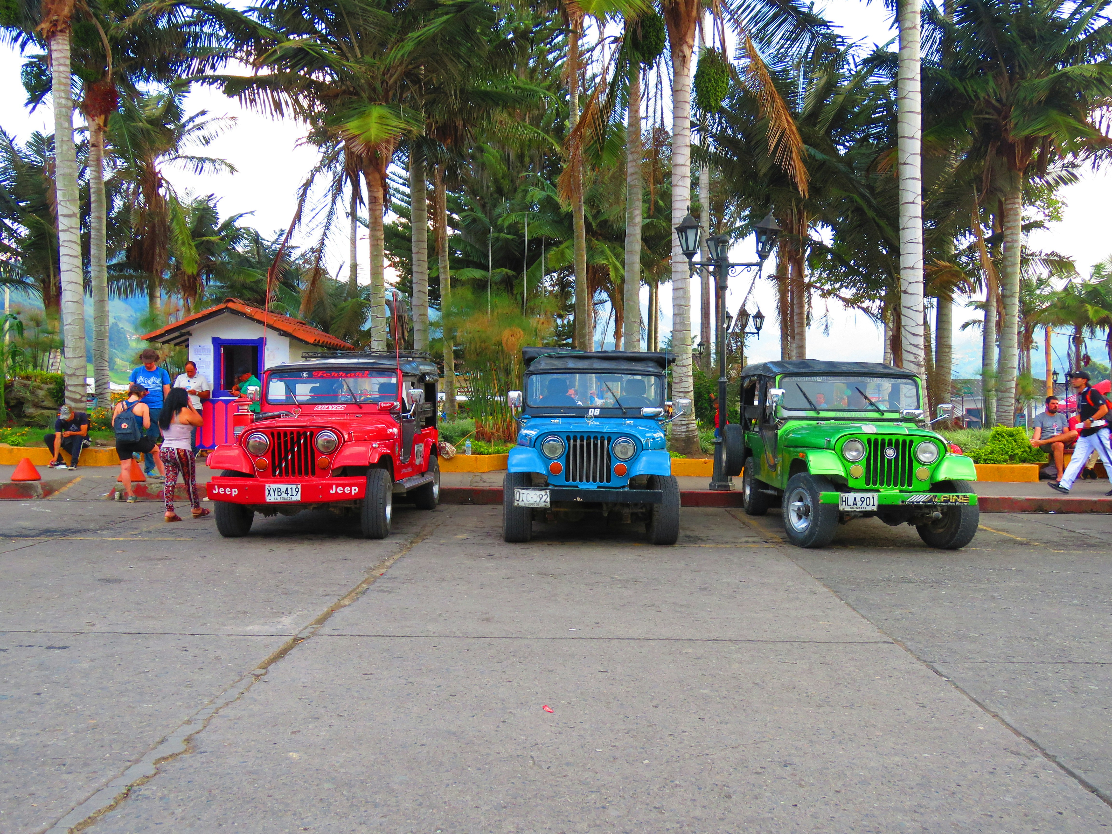 Three vintage jeeps in red, blue, and green parked amidst lush palm trees and vibrant surroundings. The scene captures a lively atmosphere in a tropical setting.