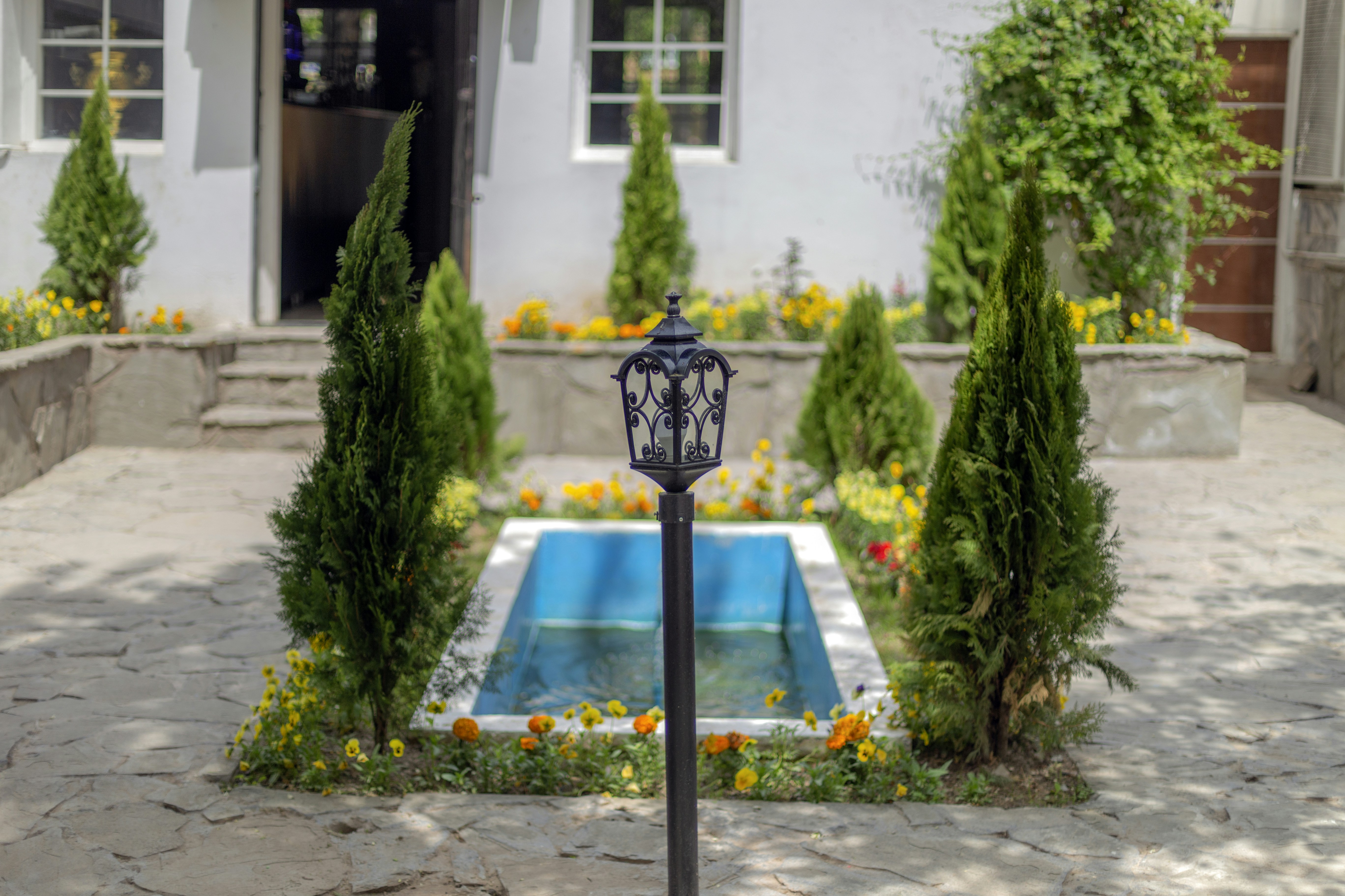 White pond between pine trees near garden light photo – Free Plant ...
