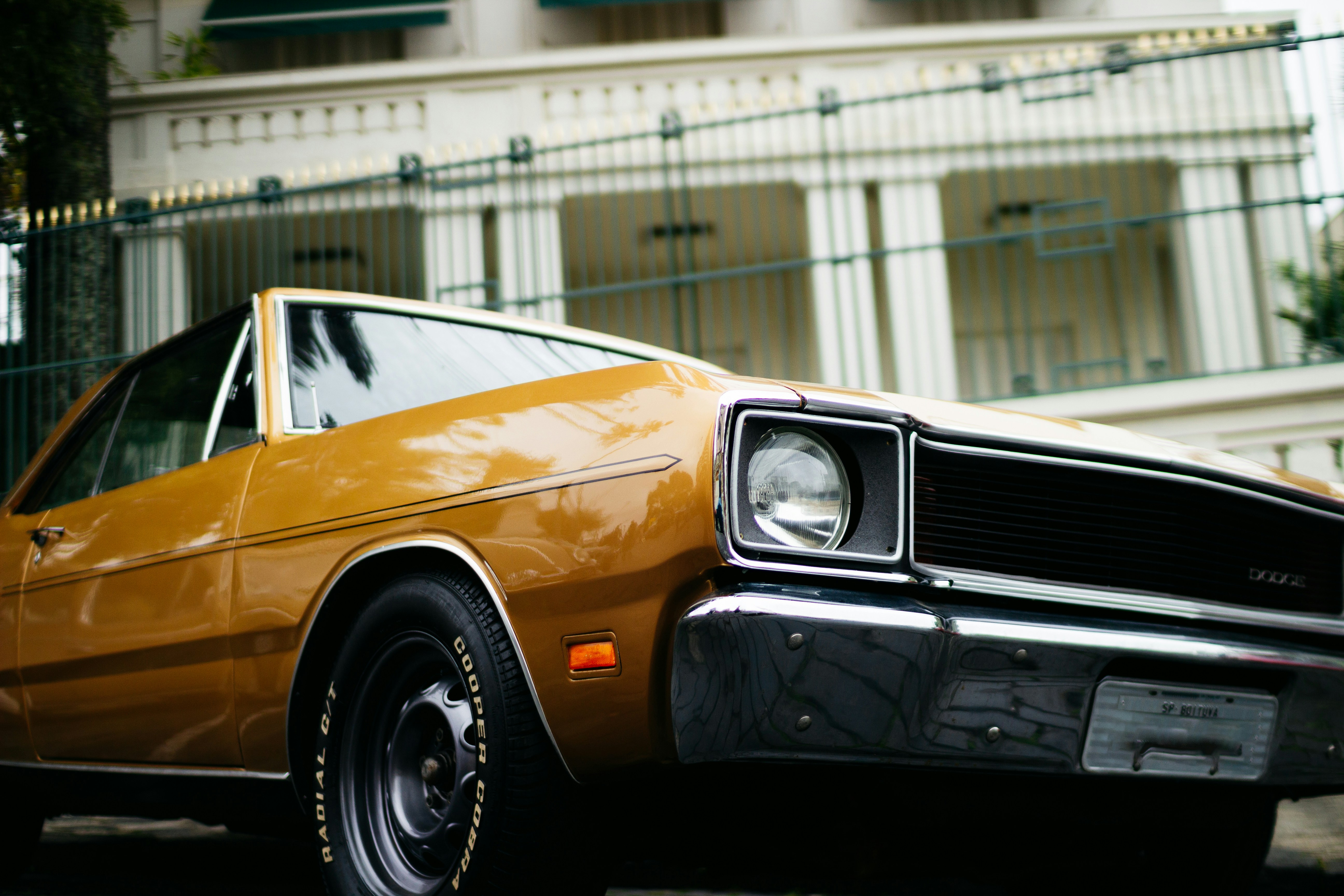 Golden Classic by the Gate