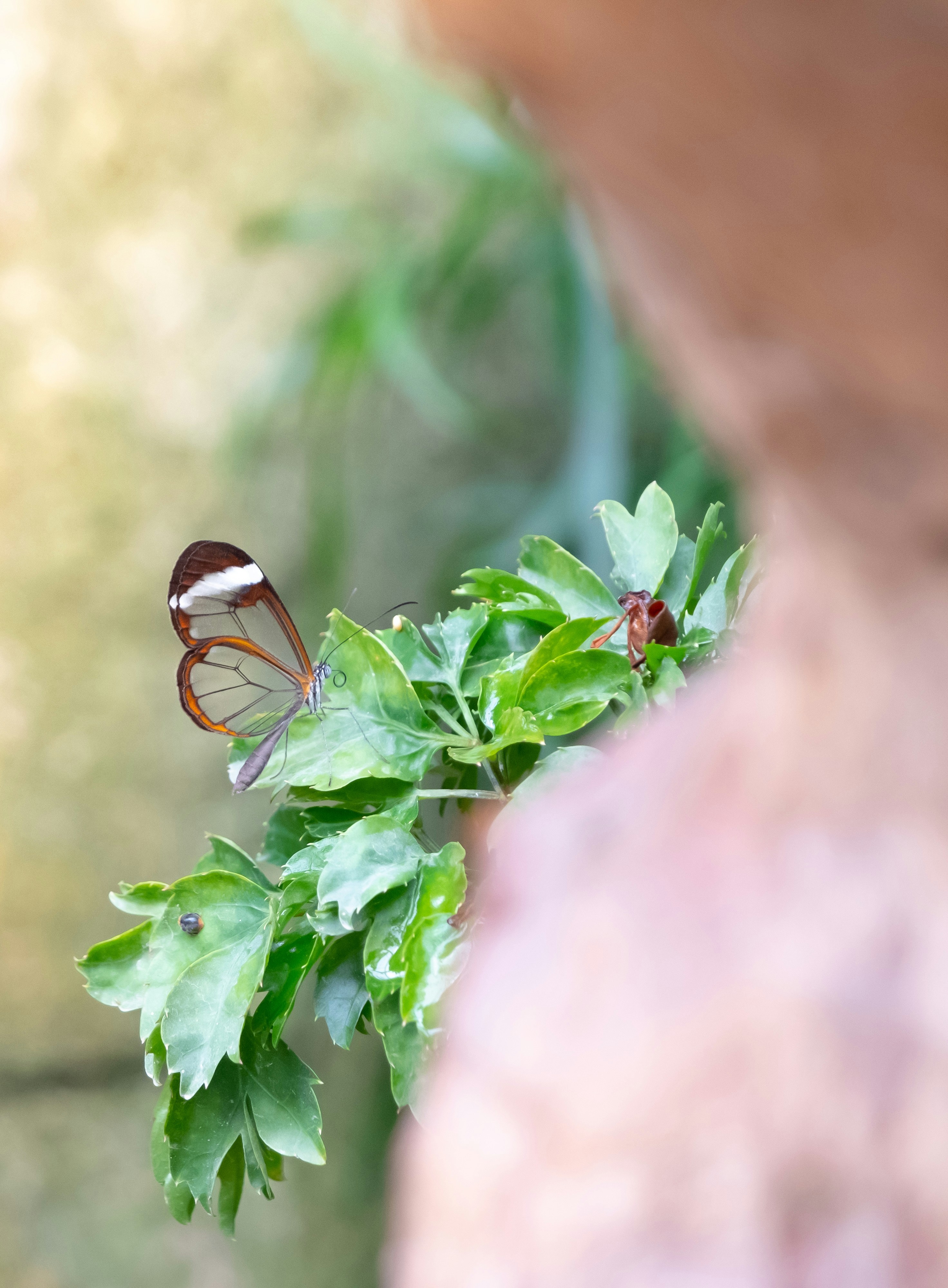 Photo by Robin Mathlener with Fujifilm X-H1