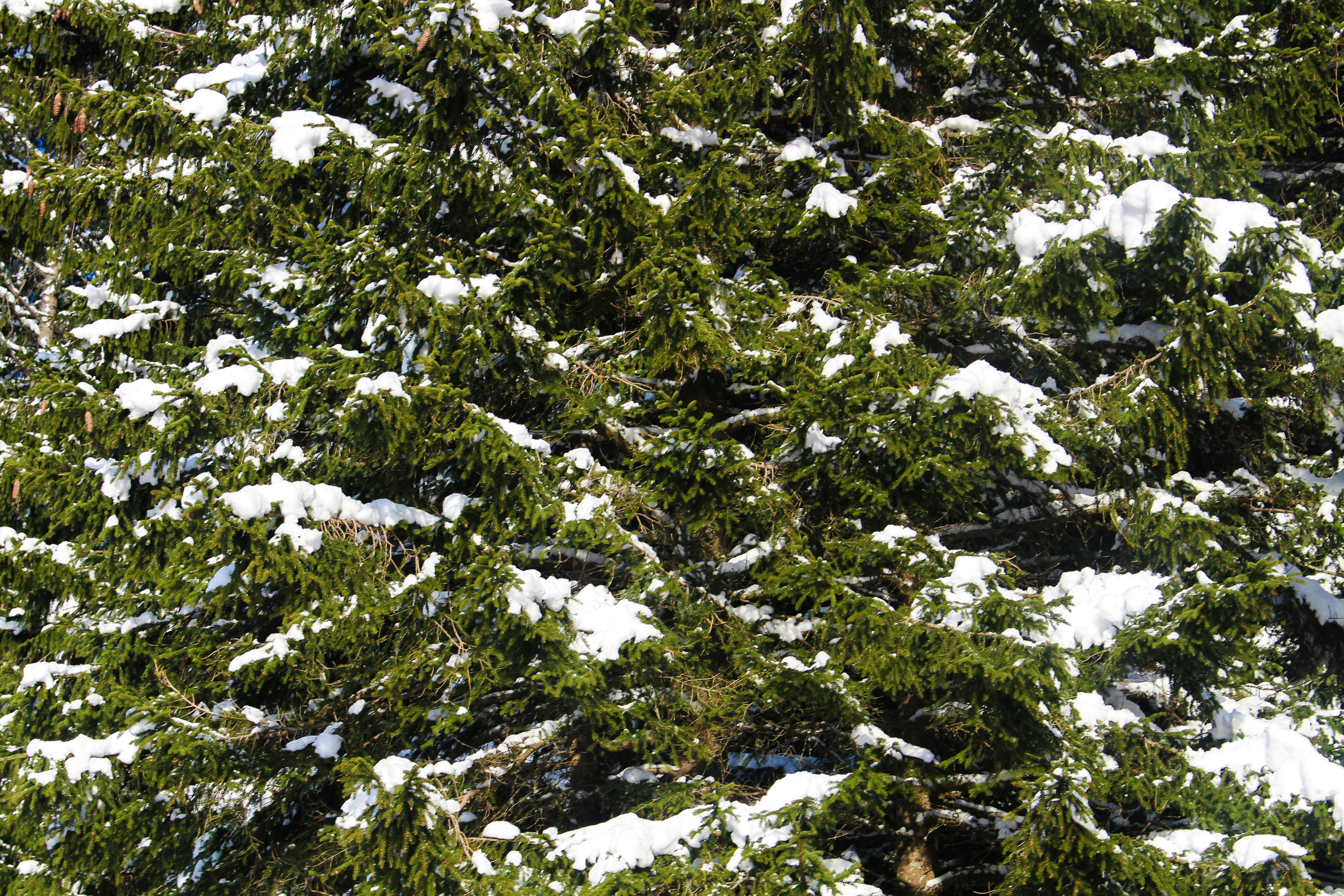 Textures | 9 best free texture, pattern, background and wallpaper ...