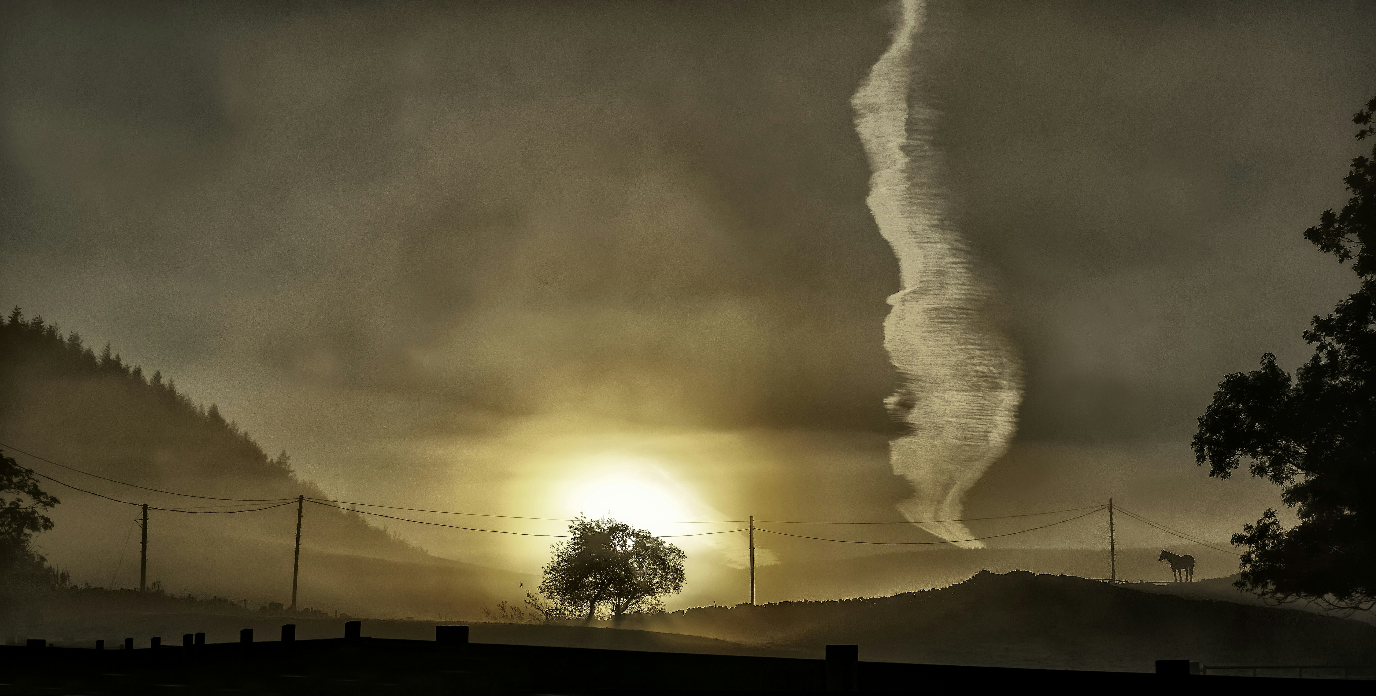 Sunlit Silhouette at the Edge of Silence
