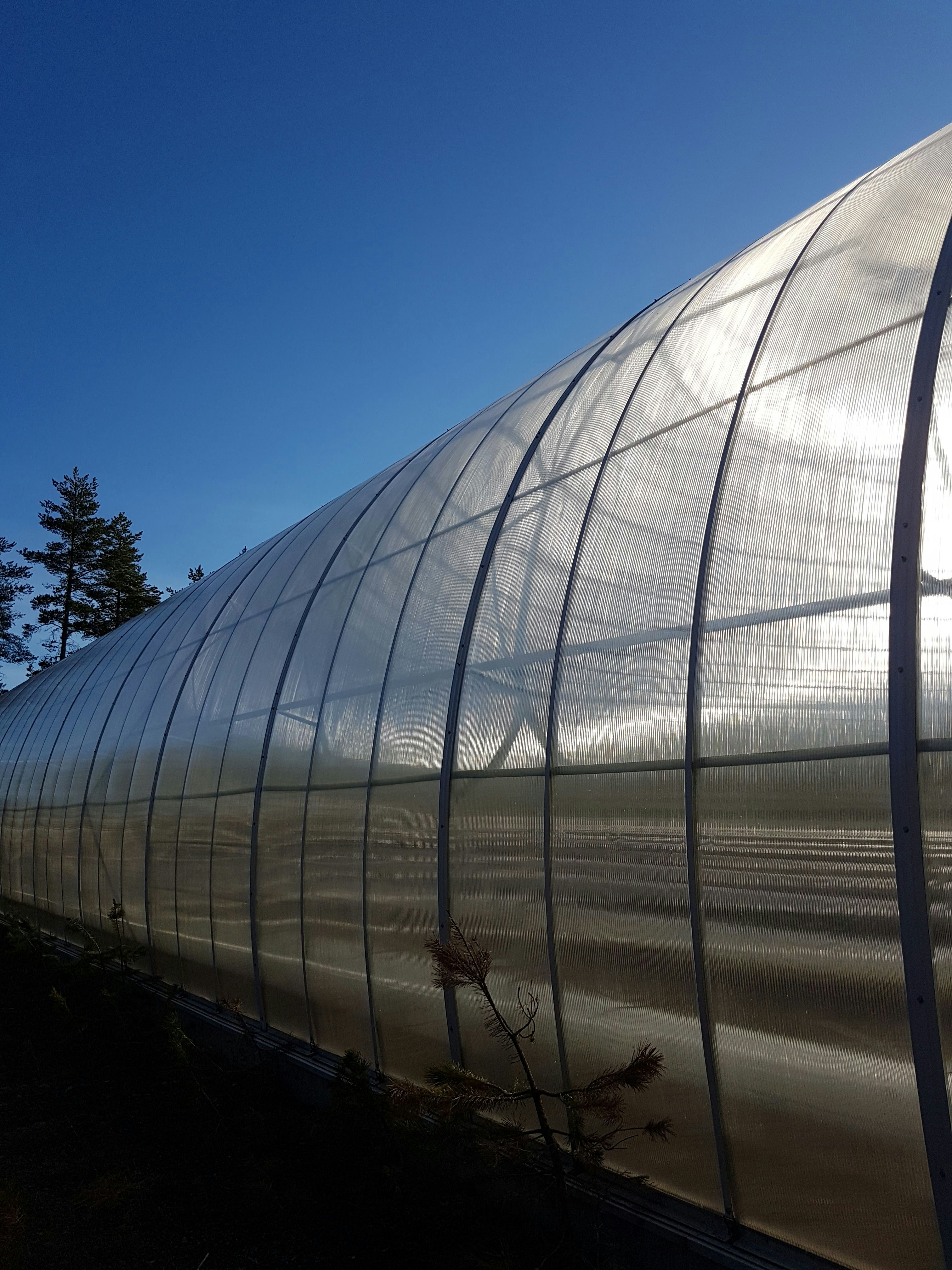 Arc of Light: A Sunlit Greenhouse Bending Toward the Sky