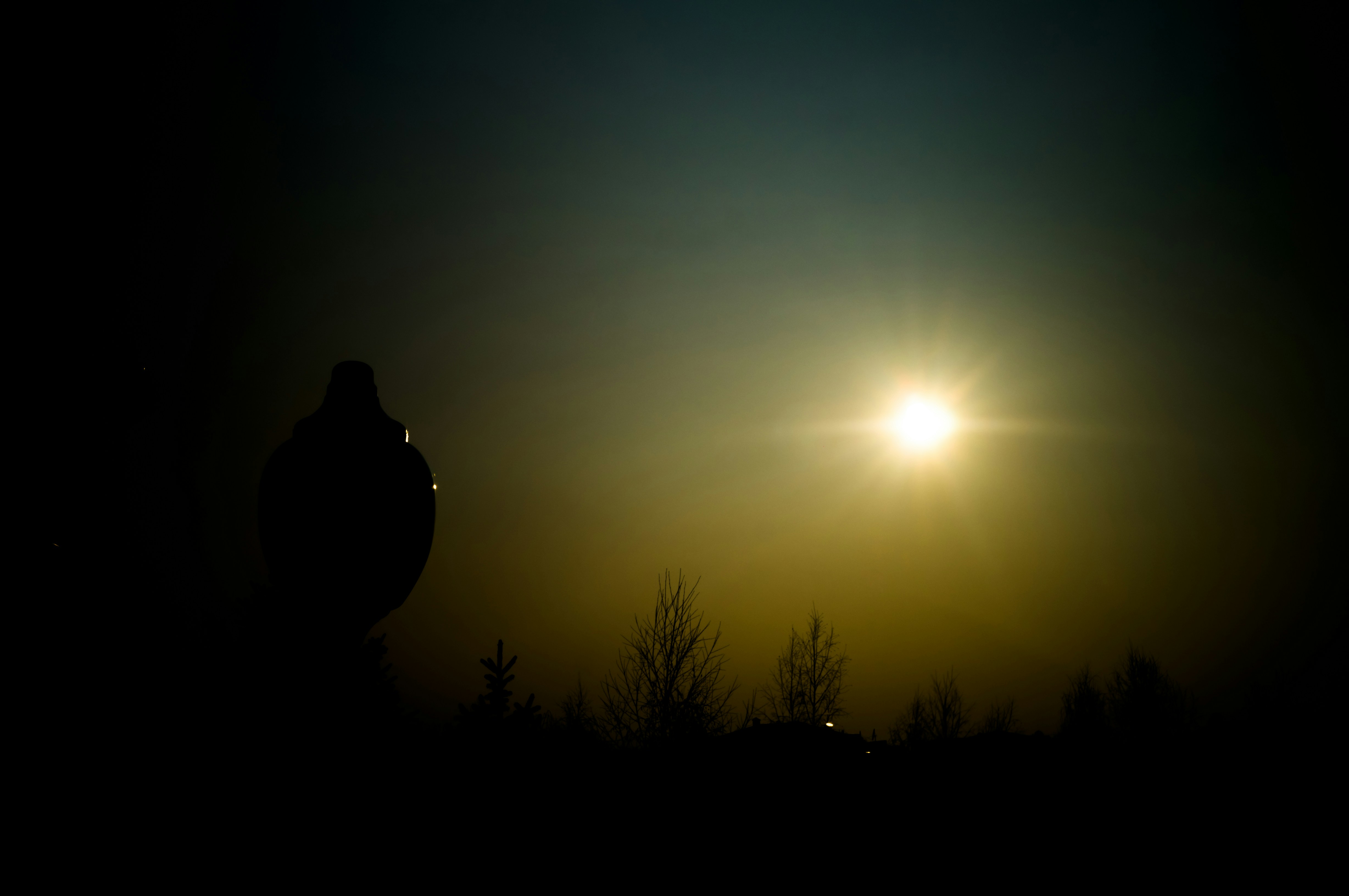 Dawn Lantern: A Vase Silhouette Against a Low Sun