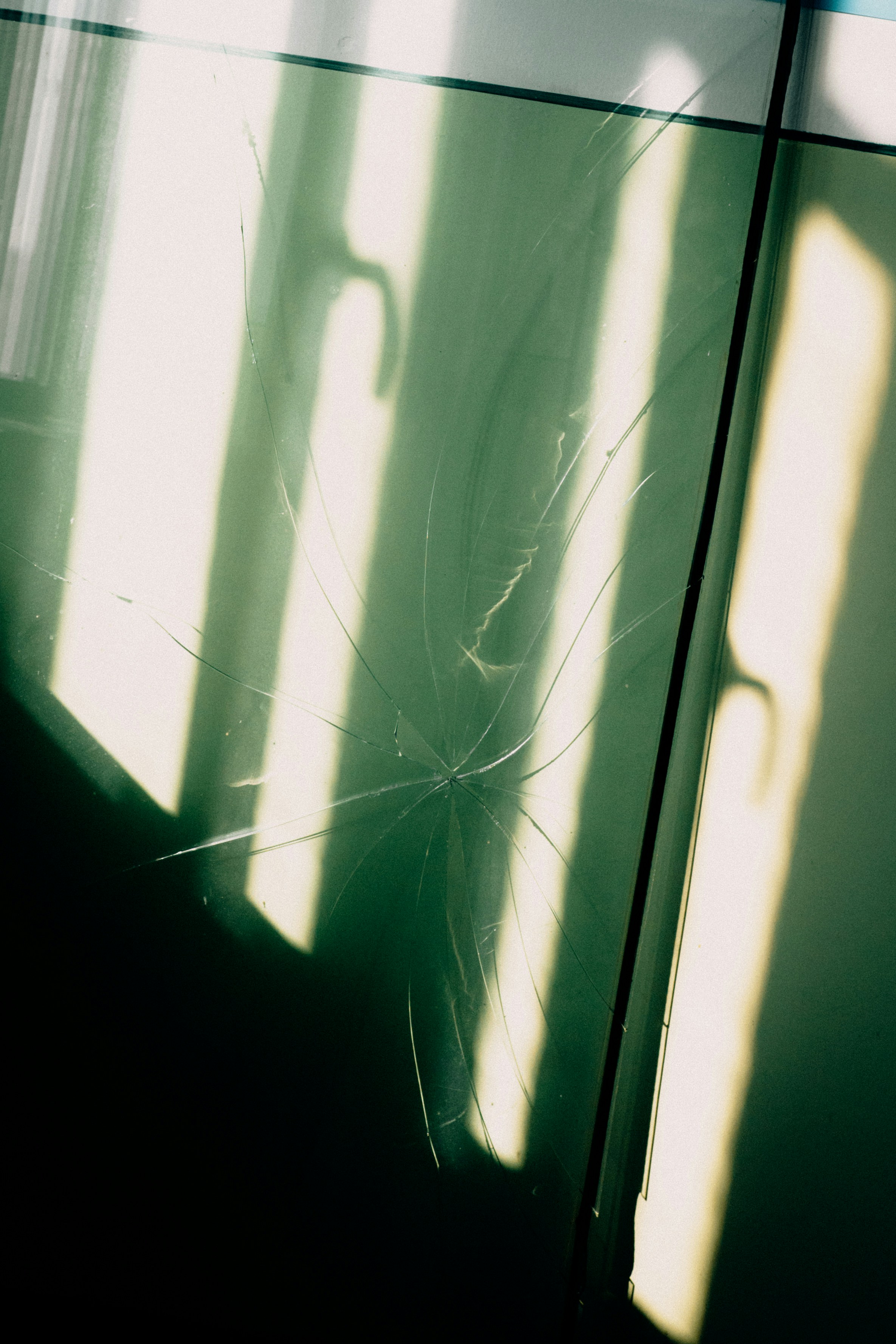 Sunlit Spiderweb on a Green Glass Panel