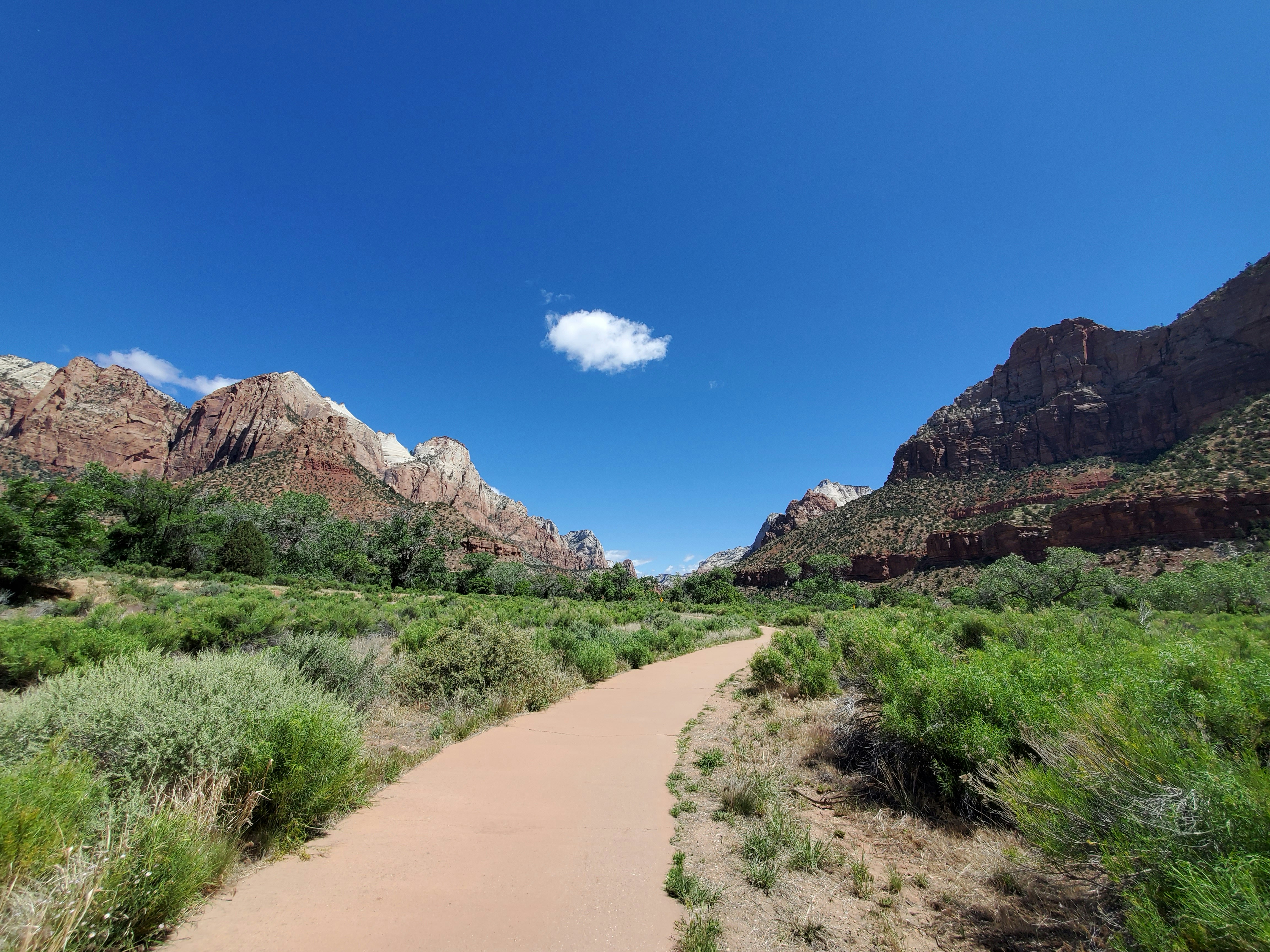 Sunny trail cutting through lush greenery with towering rocky cliffs under a vibrant blue sky.