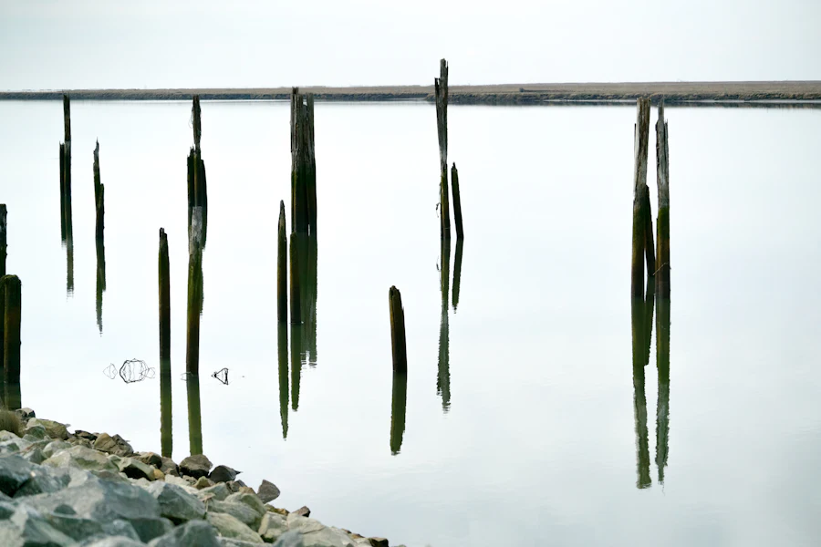 Tall, weathered wooden pilings rise from a still expanse of pale water near a rocky shoreline. A hazy horizon and minimal reflections create a quiet, spare seascape.