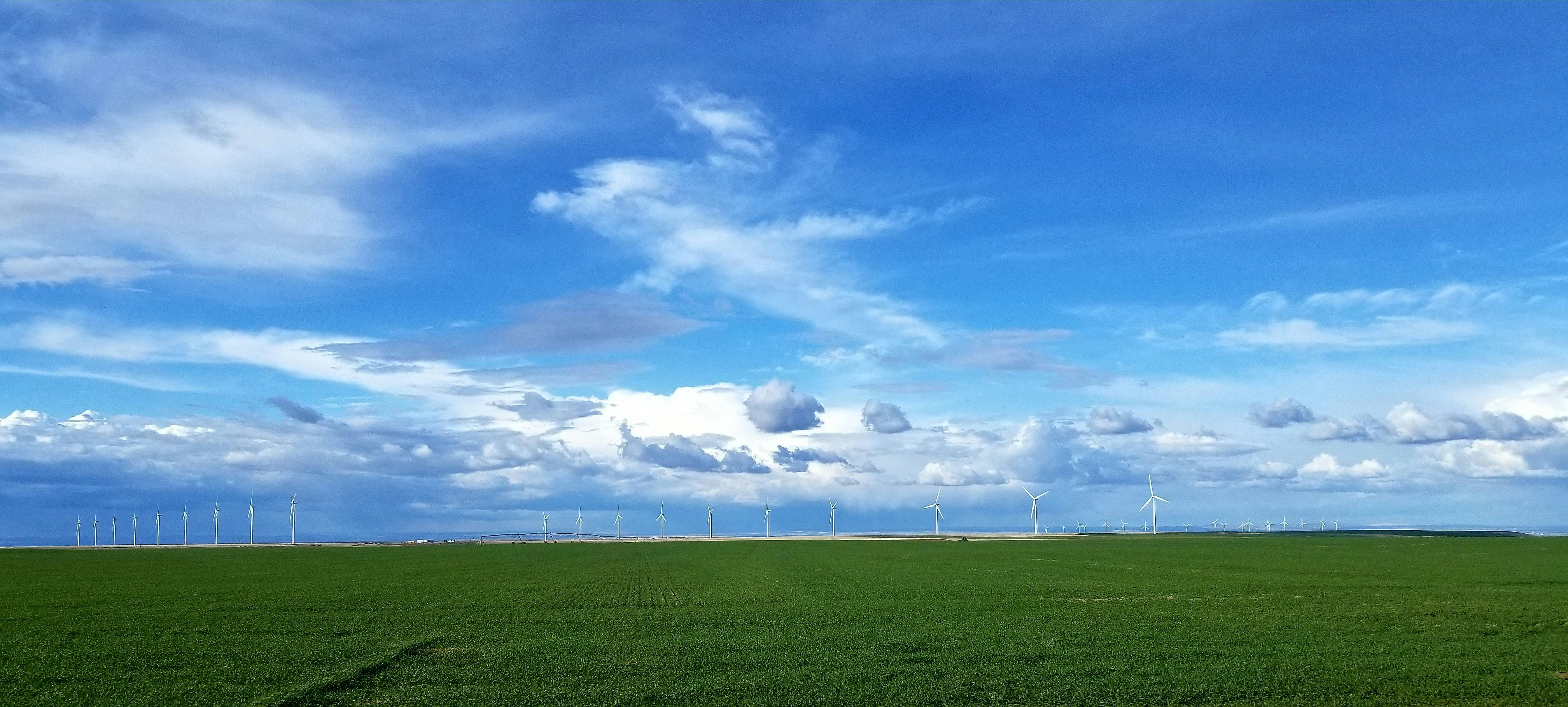 Whispers of the Wind: A Green Horizon