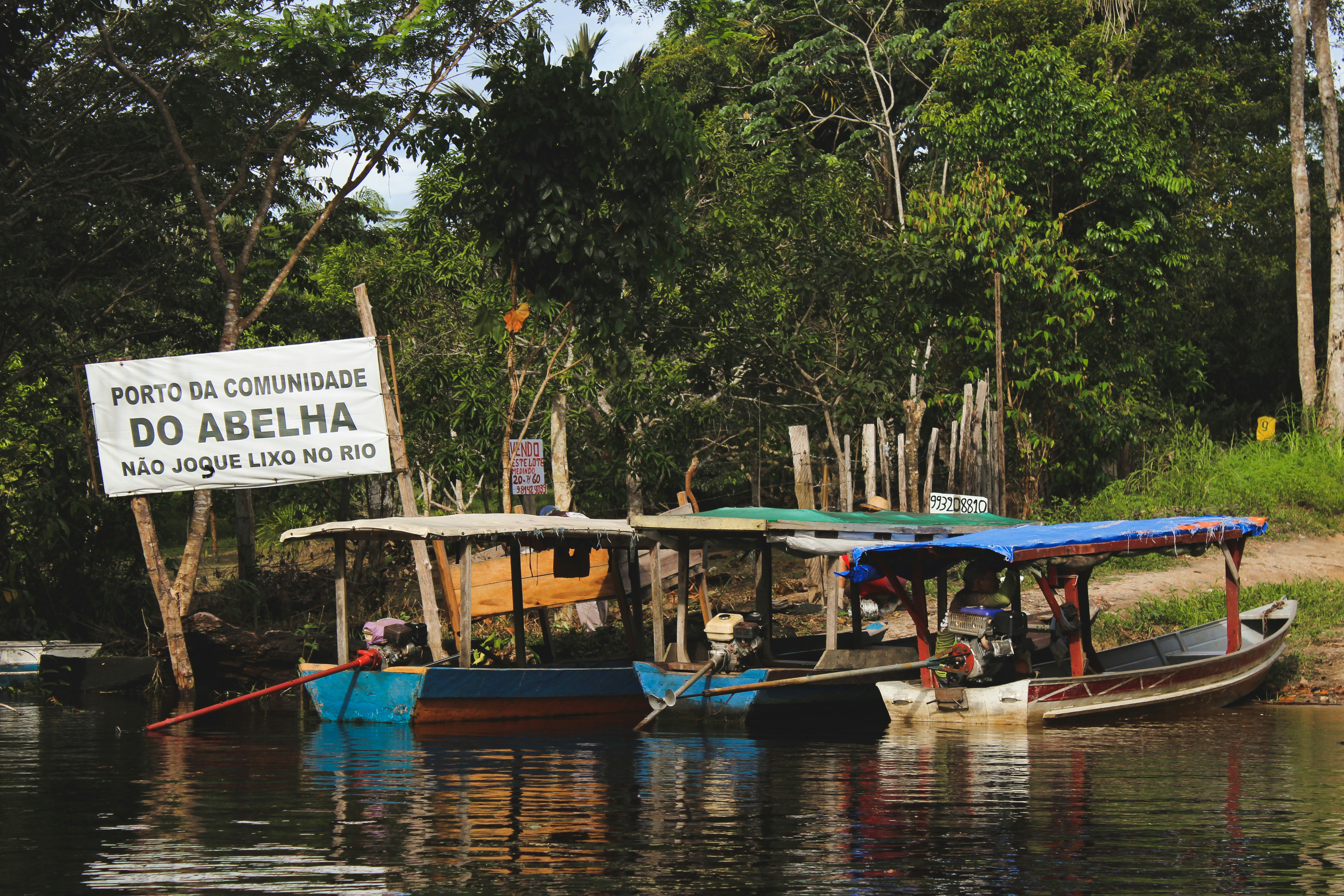 Blue and white boat docked along a forested riverbank under a clear sky.