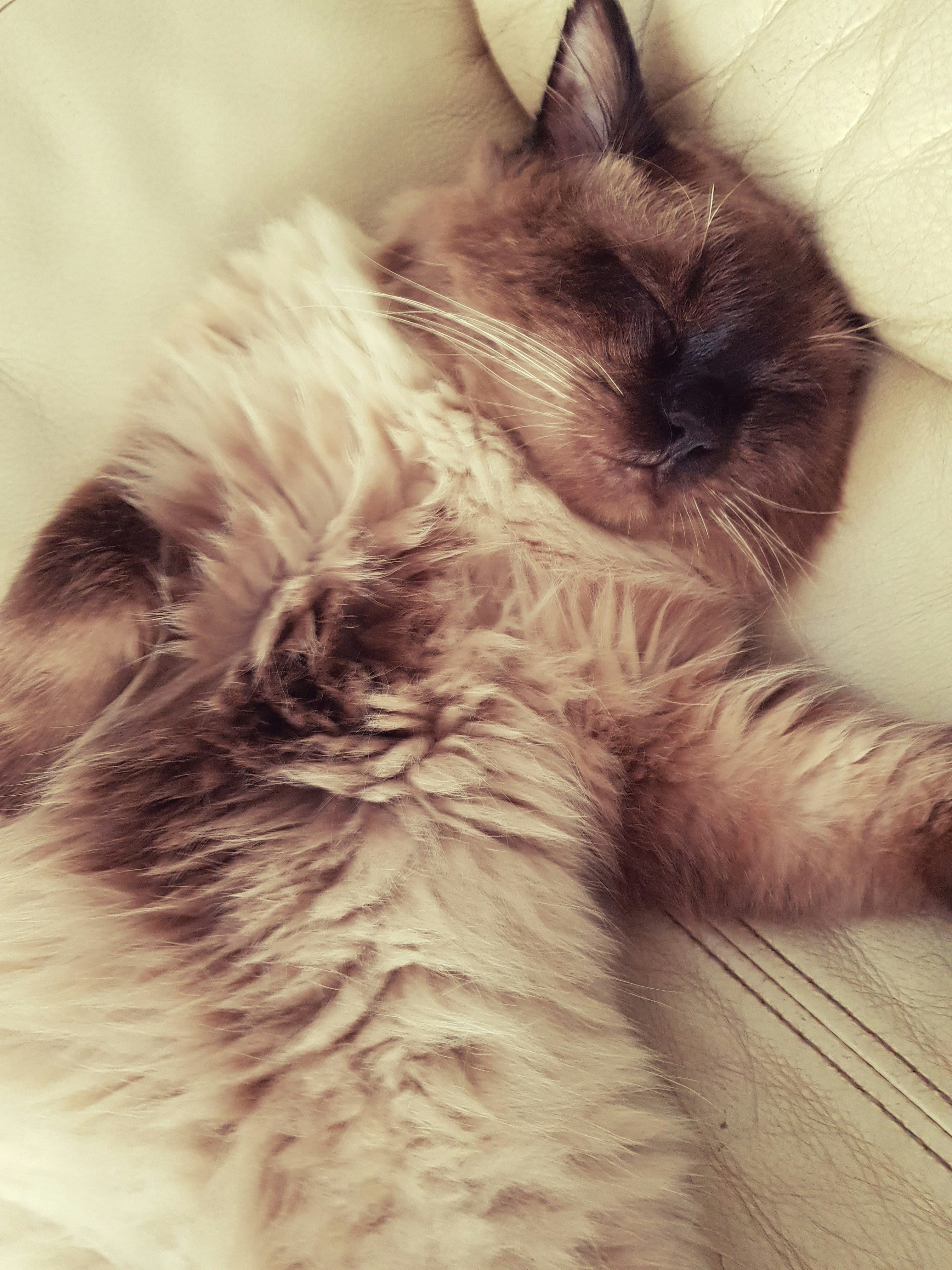 Neris Wilkinson (@thricetwice) | Komunitas Foto Unsplash