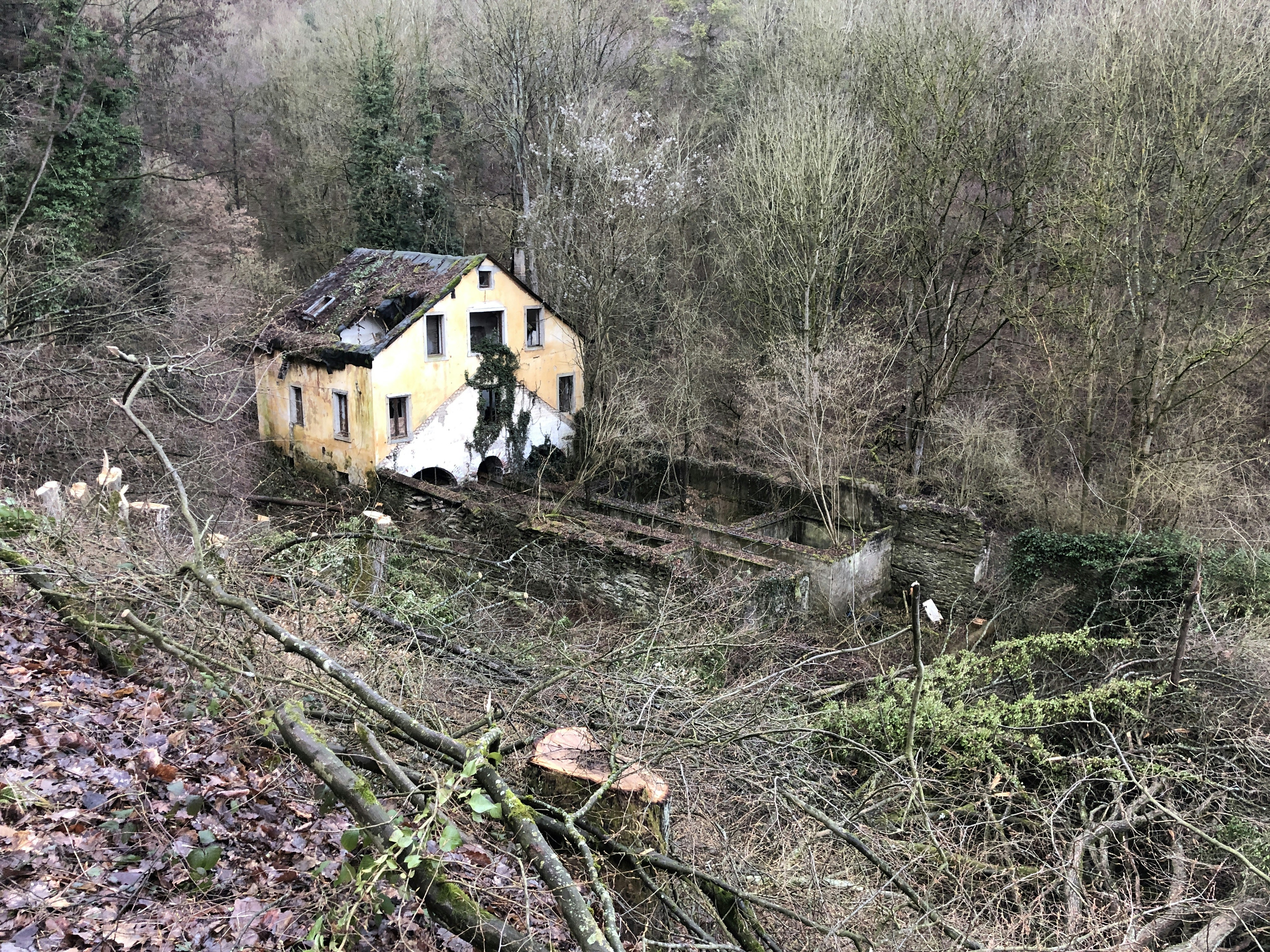 Rust and Rail: An Abandoned Cottage at the Edge of Winter Woods