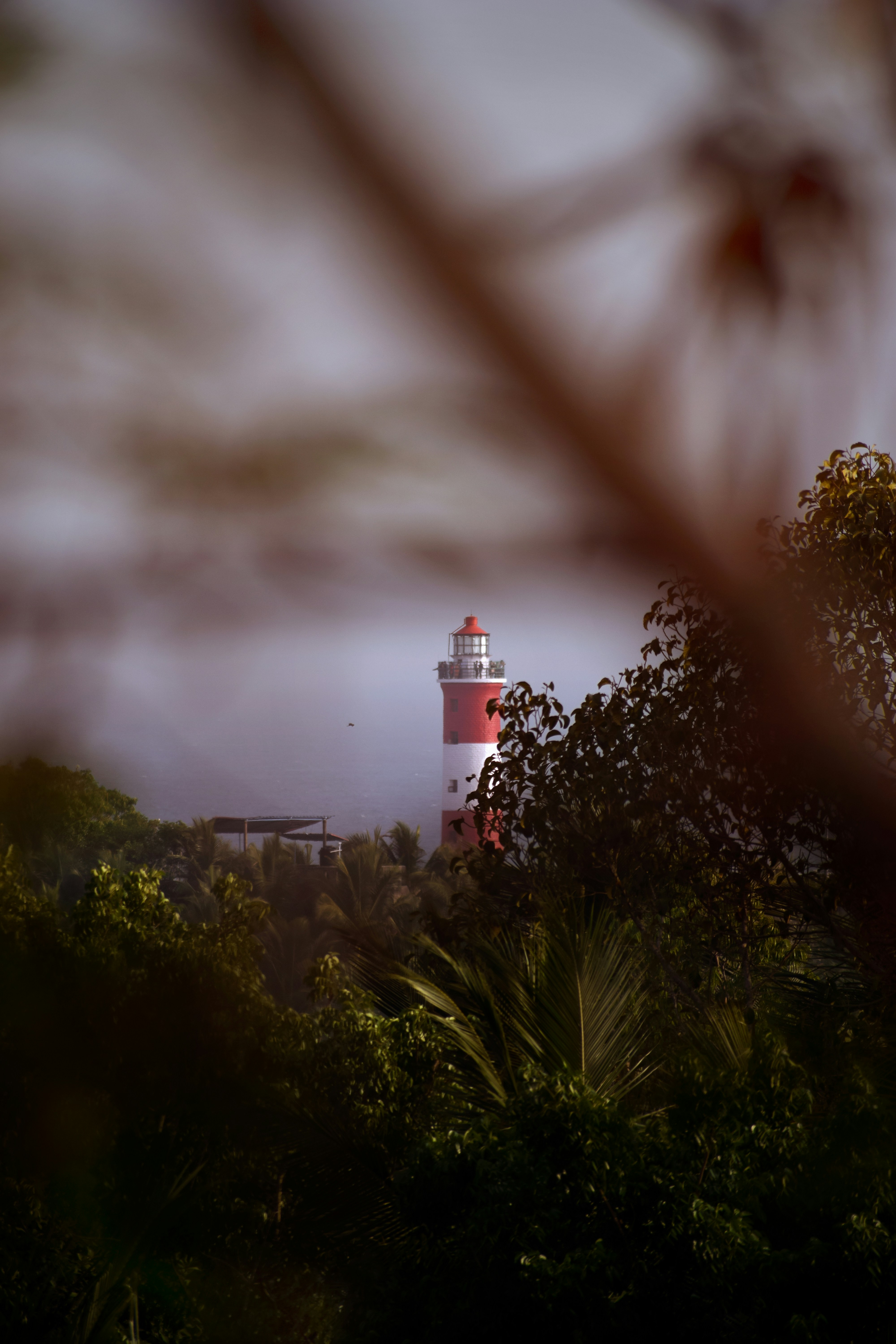 Lighthouse Framed by the Green Canopy: A Tropical Seascape
