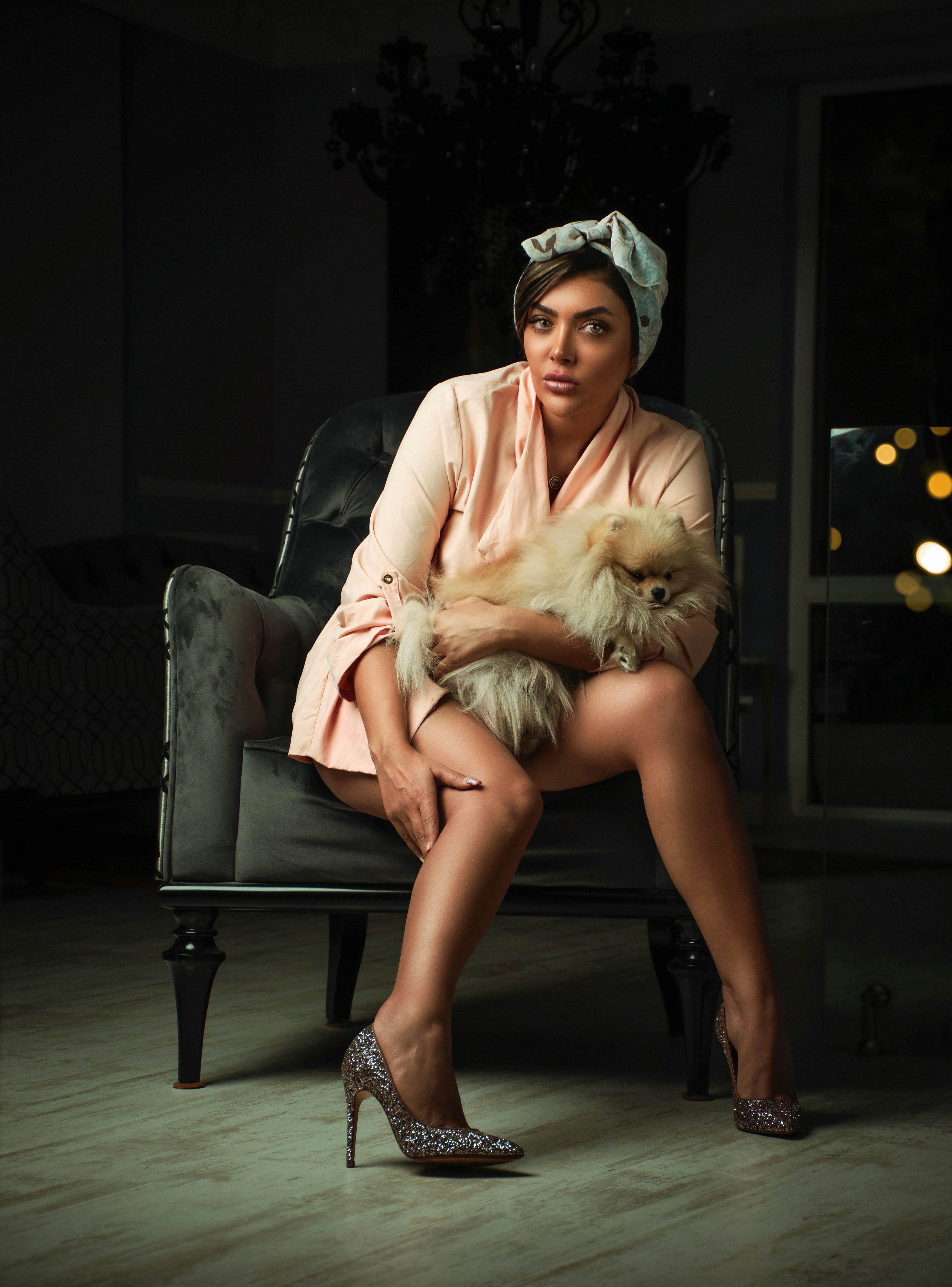 Velvet Evening: Quiet Glamour with a Fluffy Companion