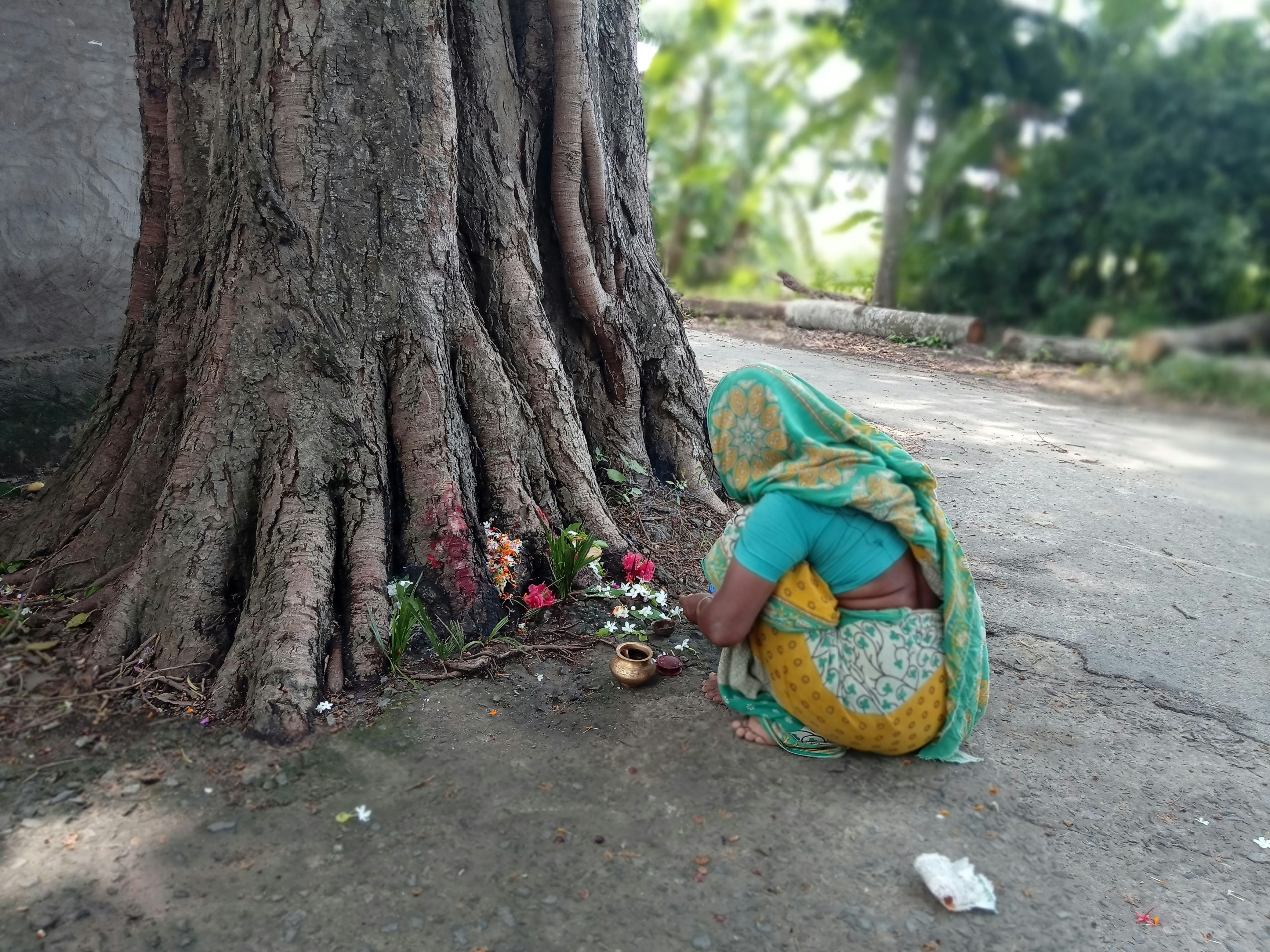 A woman in a bright sari sits beside a massive tree, arranging flowers and a brass bowl on the ground.
