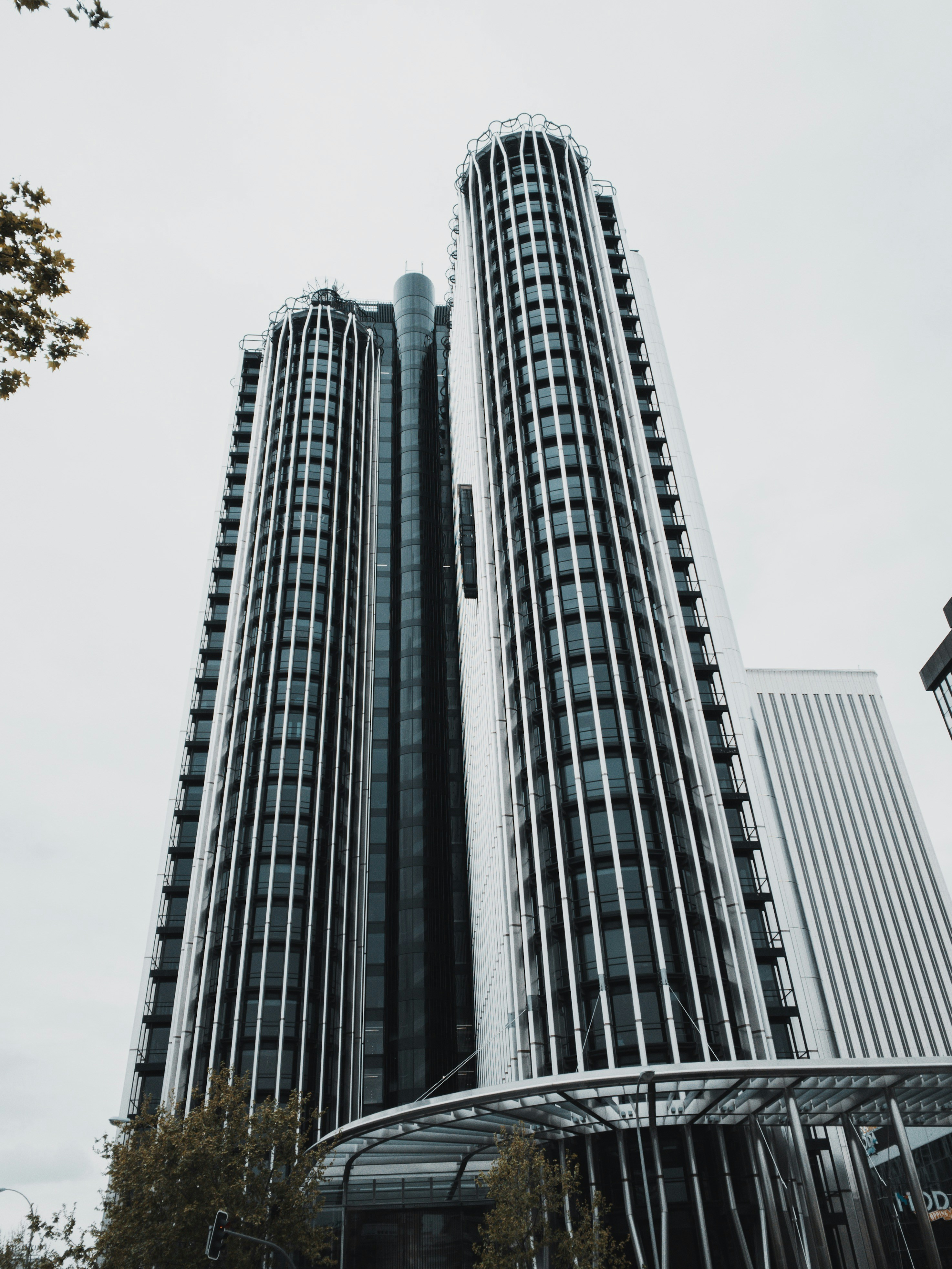 Twin Glass Cylinders Ascend: A Vertical Portrait of Modern Architecture