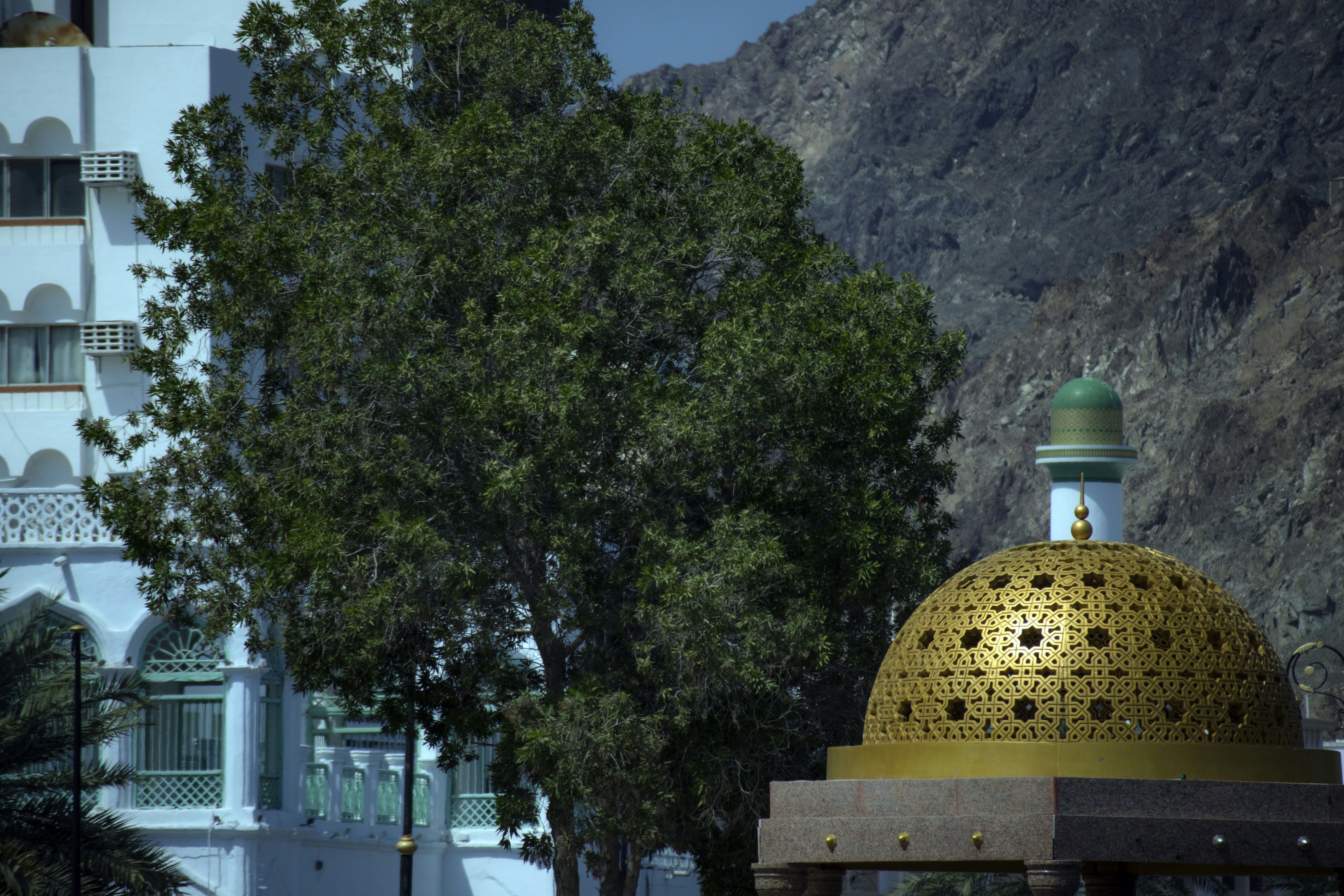 Wiki Commons Pictures | Download Free Images on Unsplash