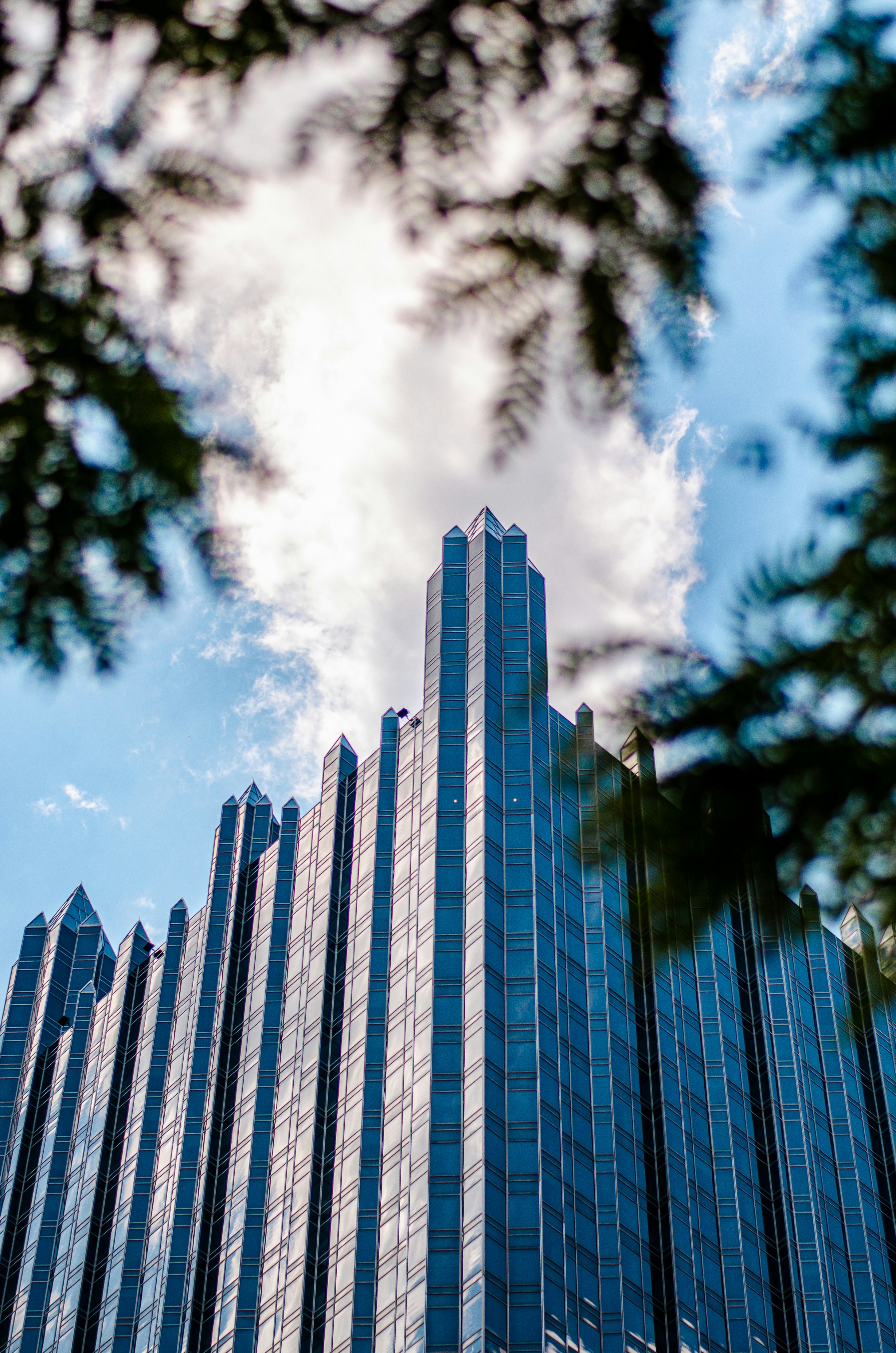 Skyward Facades: A Towering Glass Frontier