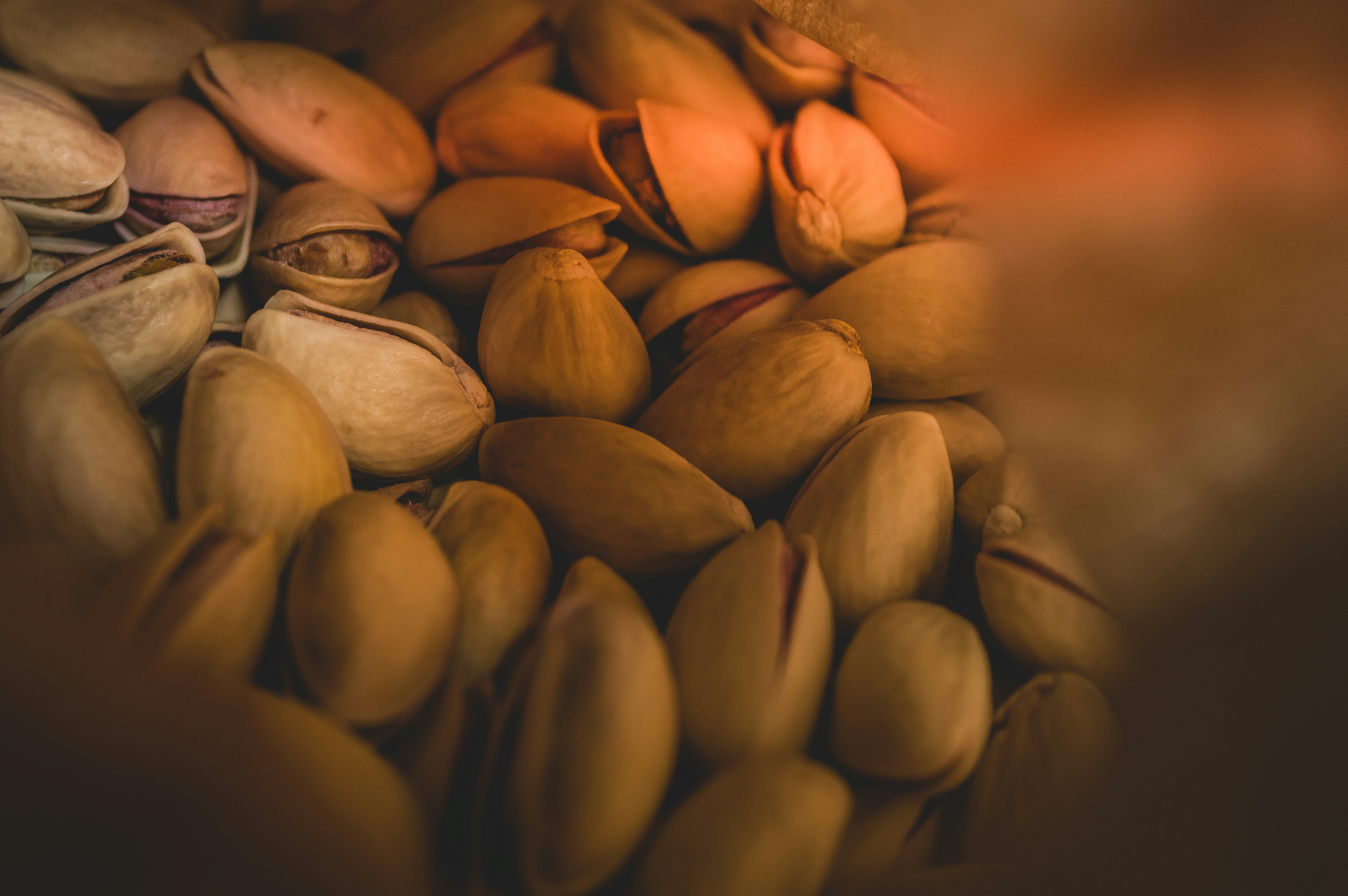 Définition de pistache malgache | Dictionnaire français