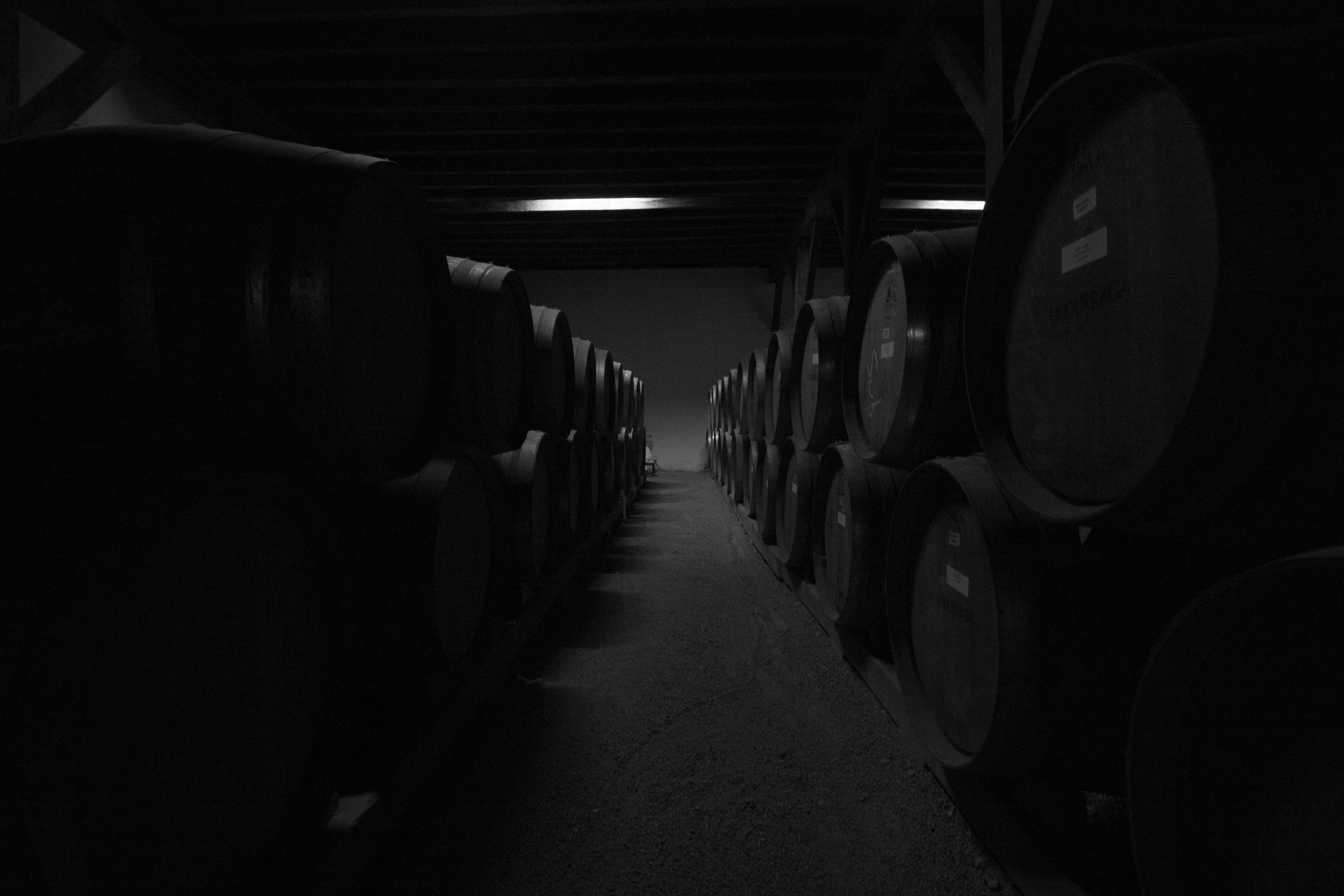 Silhouetted Stacks: A Quiet Walk Through the Barrel Room