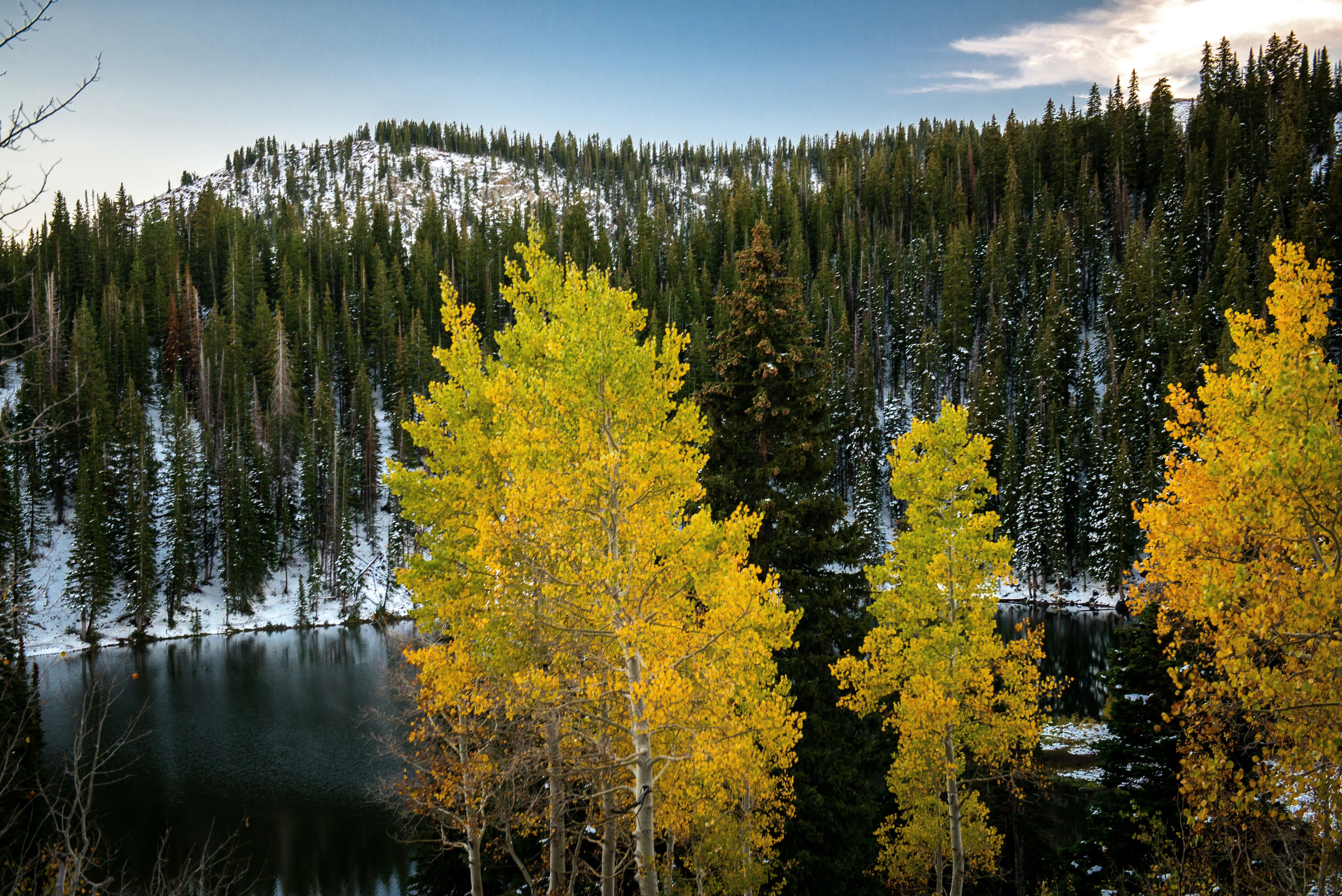Golden Aspens Framing a Snow-Fringed Alpine Lake