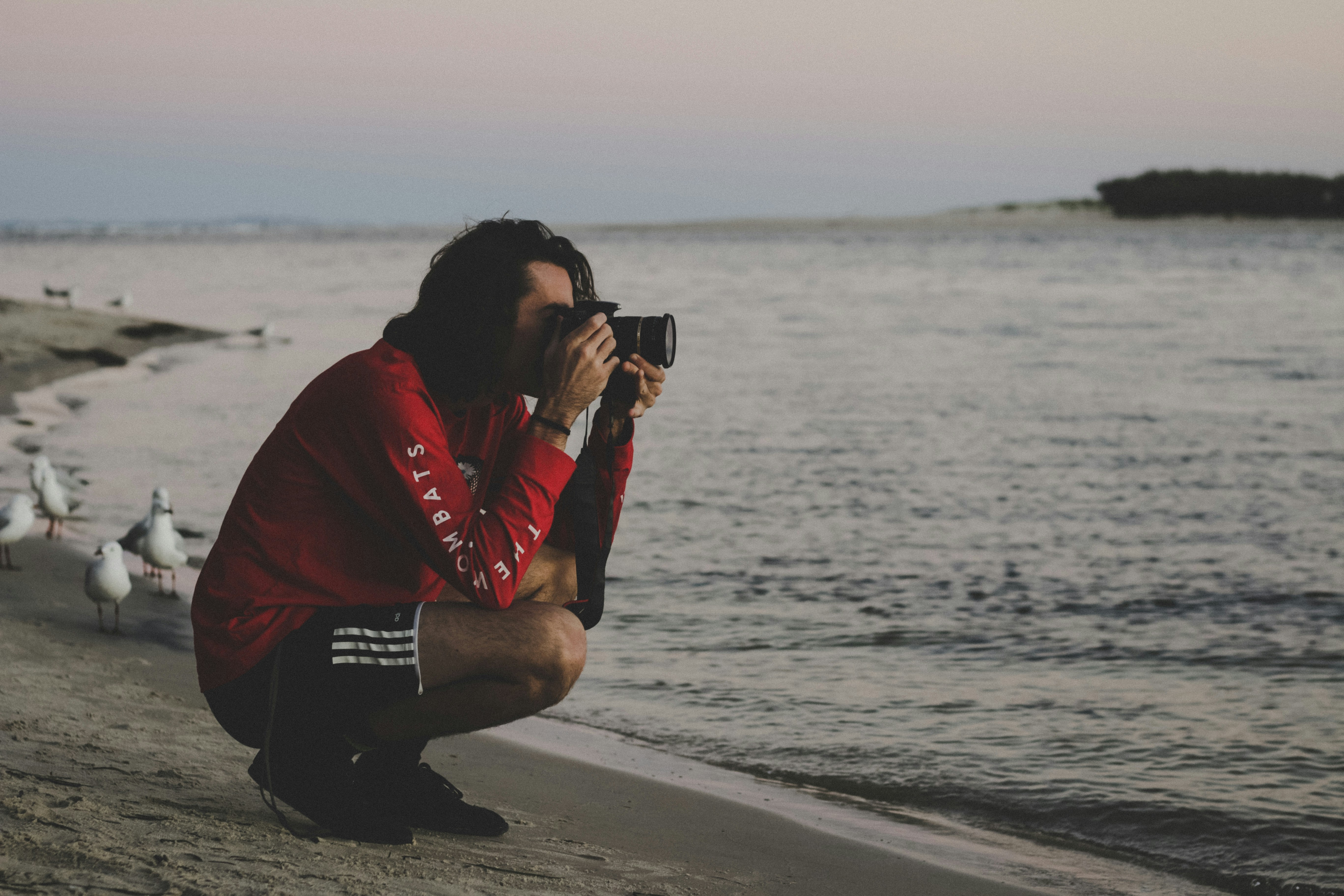 A photographer crouches on the beach, capturing the serene landscape as seagulls wander nearby.