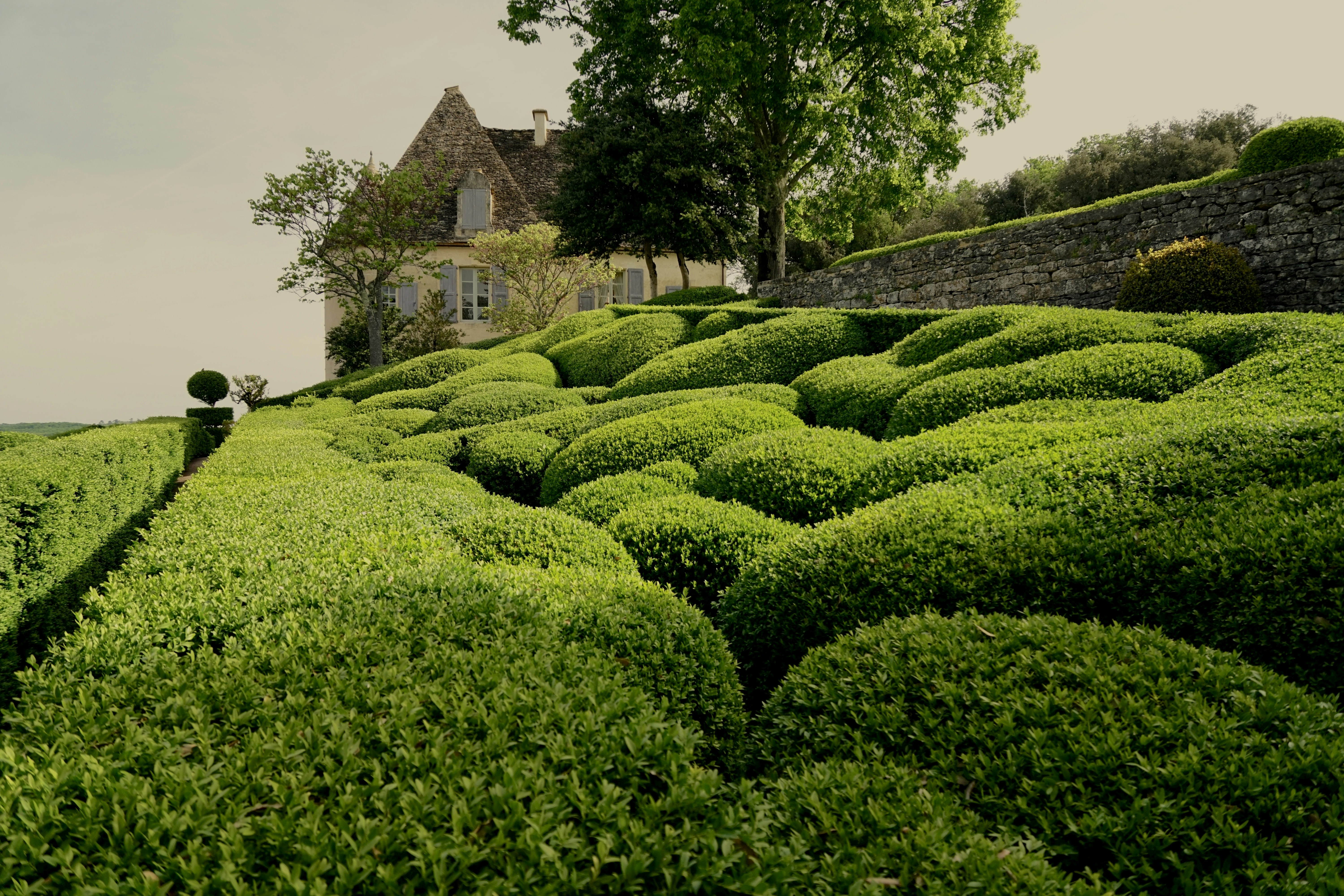 Sculpted Serenity: Gardens of Precision