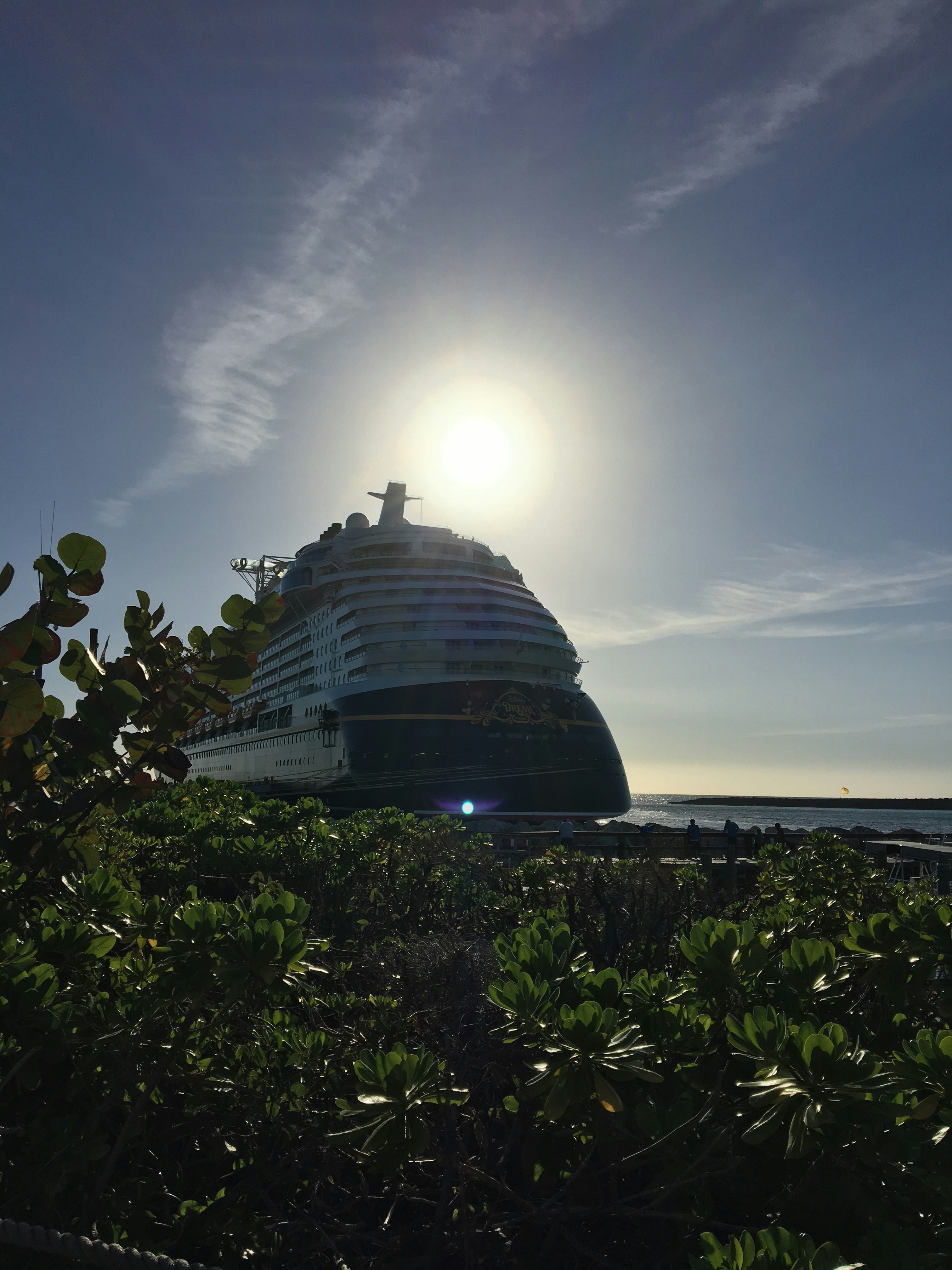 Cruise ship silhouetted against a bright sun, framed by lush greenery in the foreground.