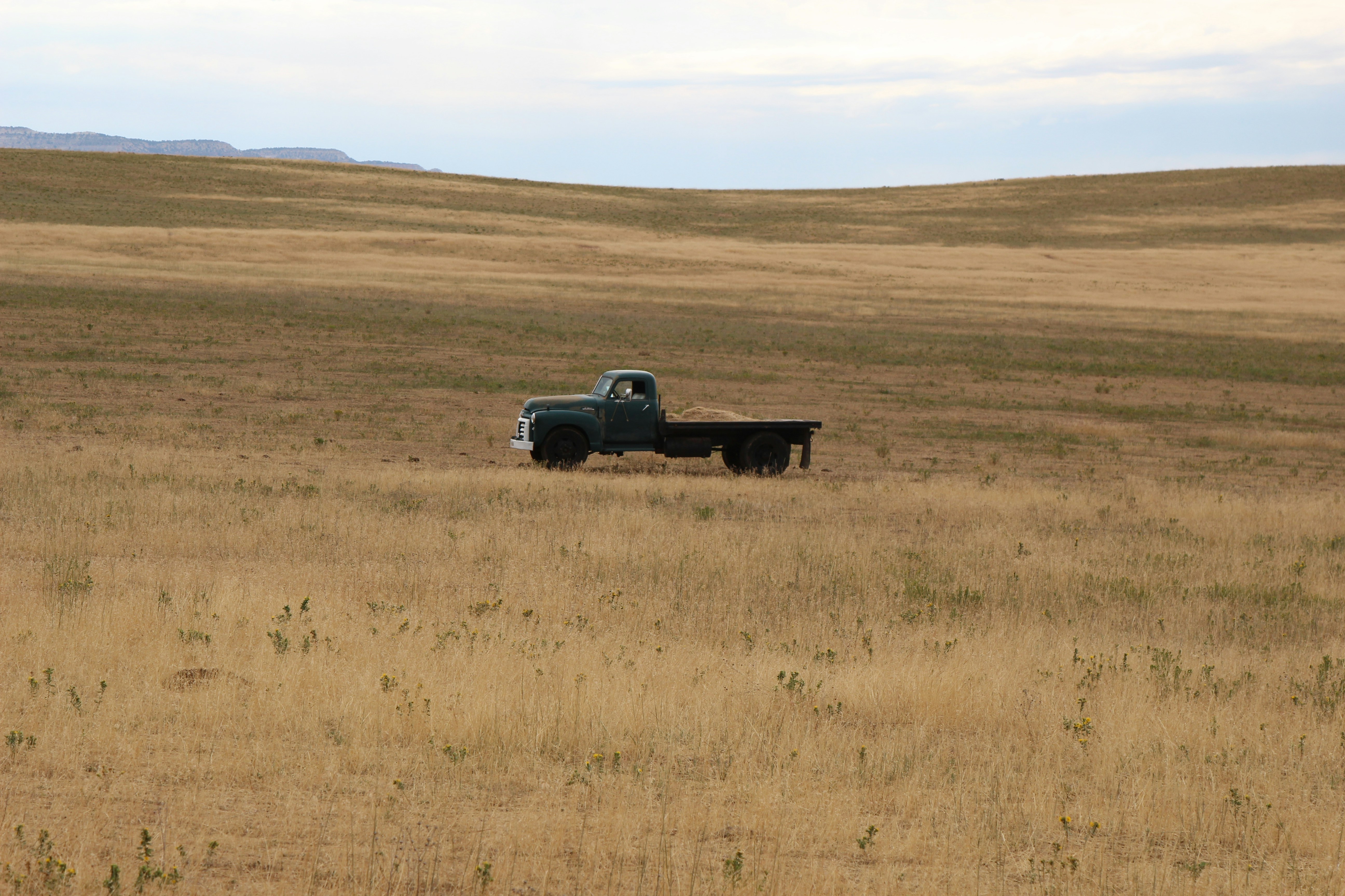 Golden Prairie Outpost: A Vintage Pickup Halting at the Horizon